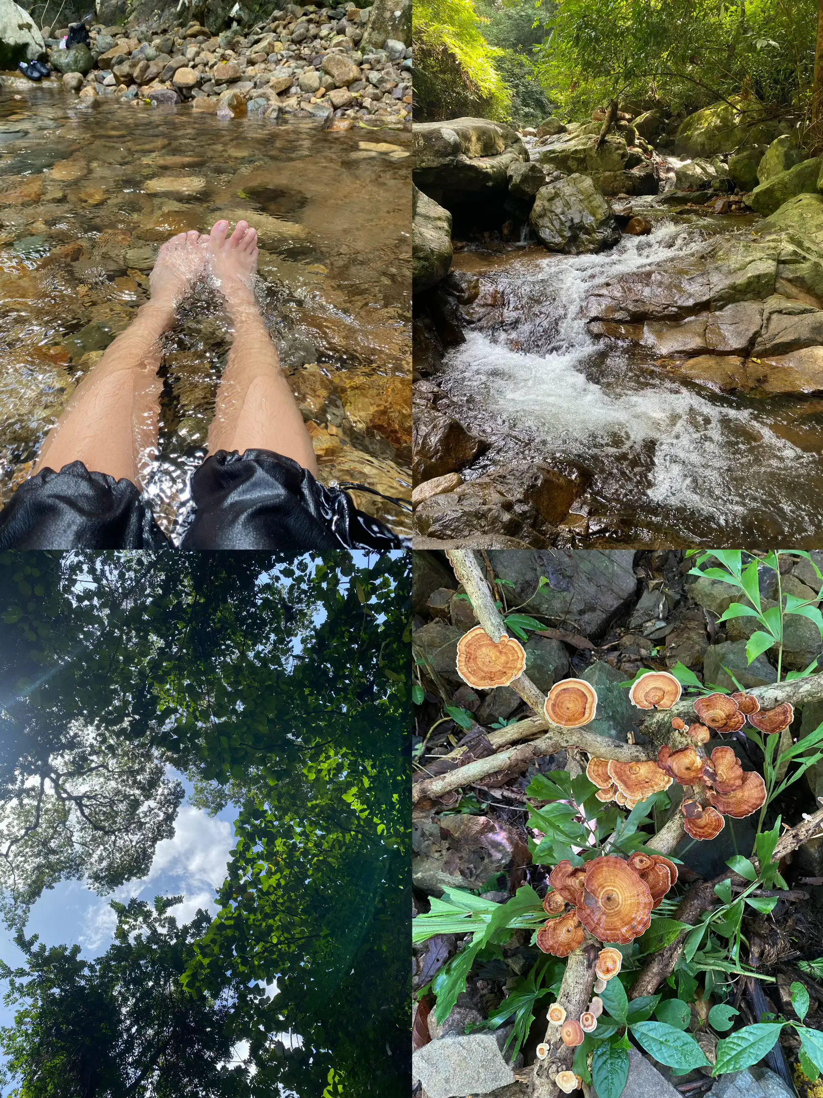 💚น้ำตกโกรกอิดก จ.สระบุรี💚 | แกลเลอรีที่โพสต์โดย Pasika S. | Lemon8