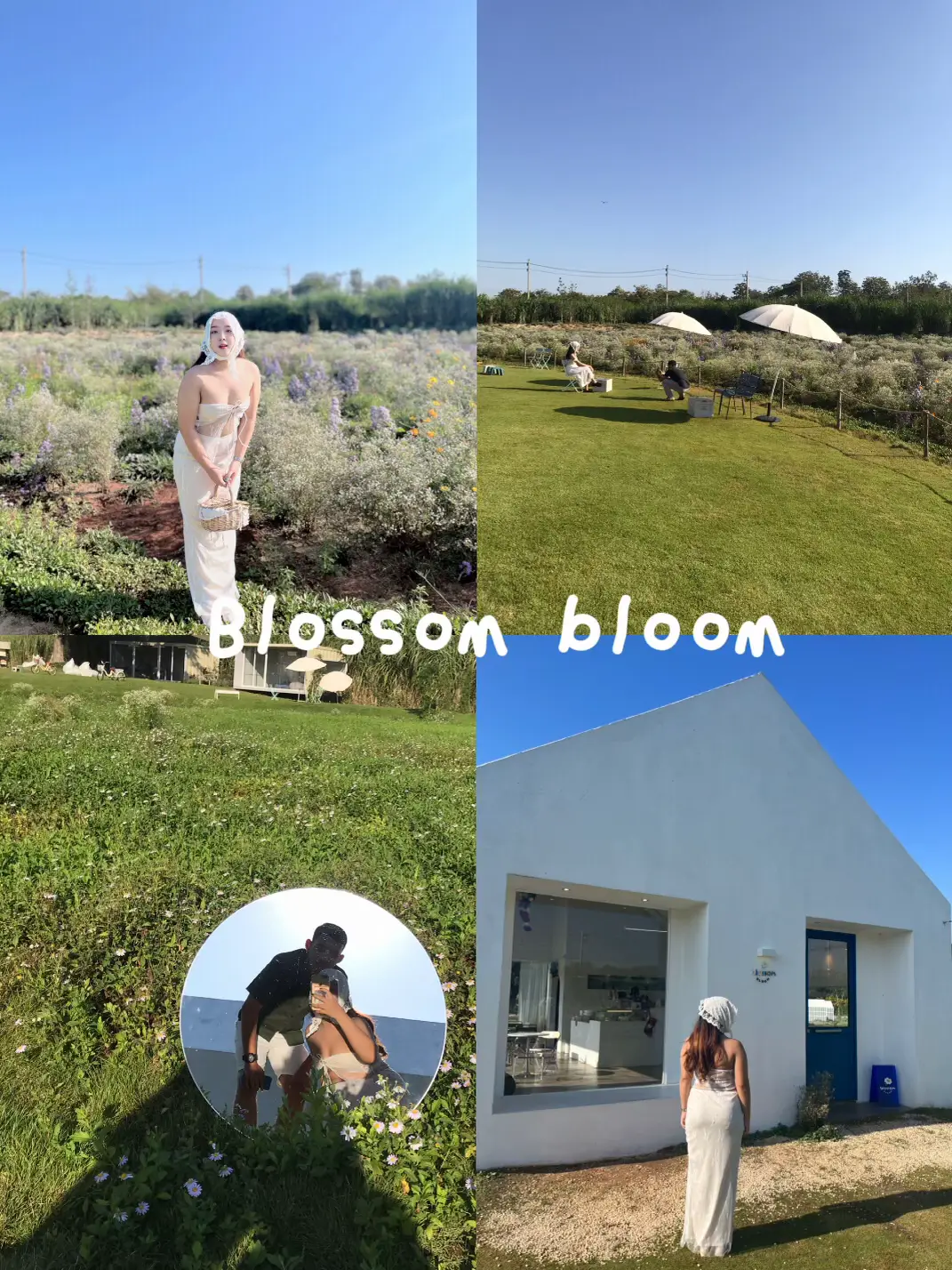 Blossom bloom | แกลเลอรีที่โพสต์โดย Manowpich | Lemon8