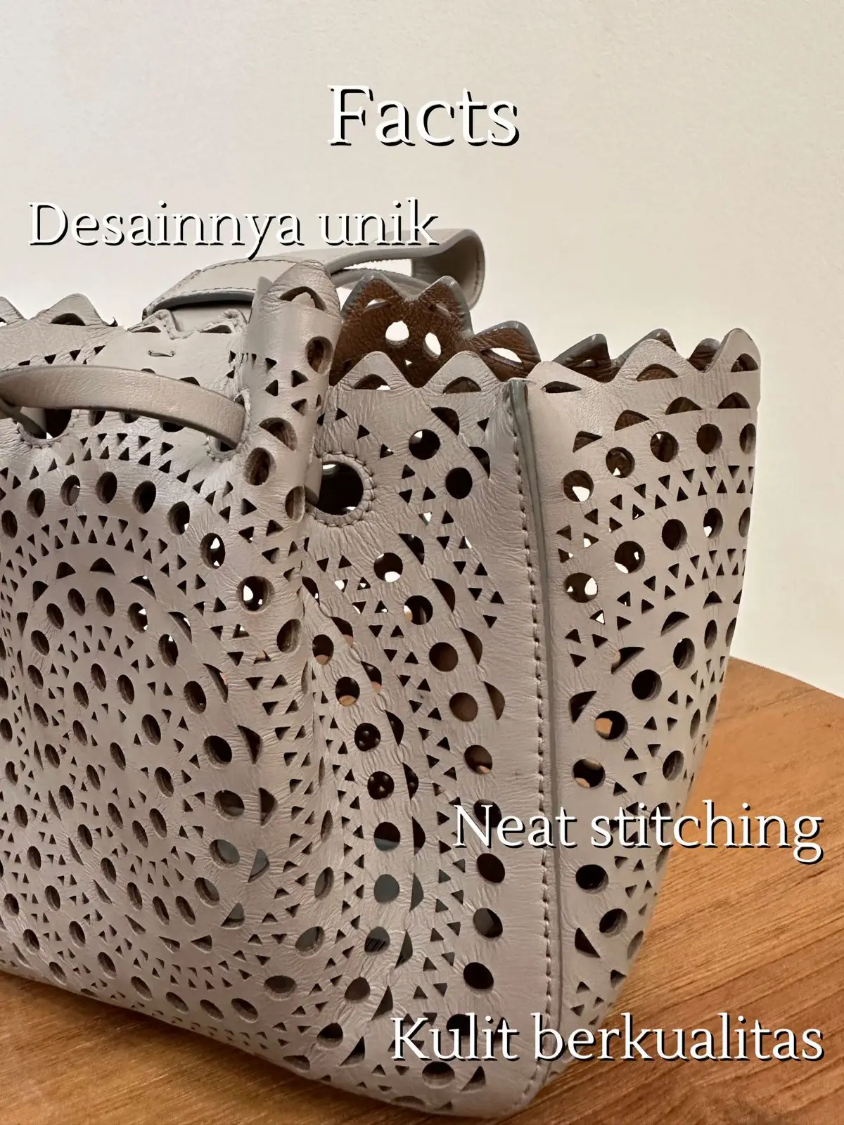 Reviewing Alaïa Rose Mary bag😋 | Galeri diposting oleh Nanalit | Lemon8