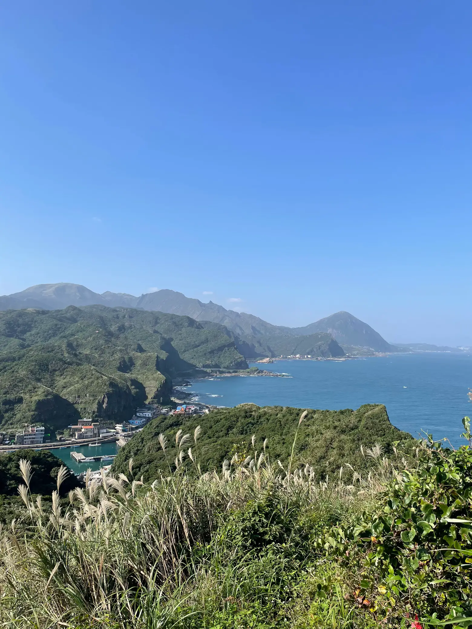 เดิน Trail ที่ Taiwan 🇹🇼 | แกลเลอรีที่โพสต์โดย Paè | Lemon8