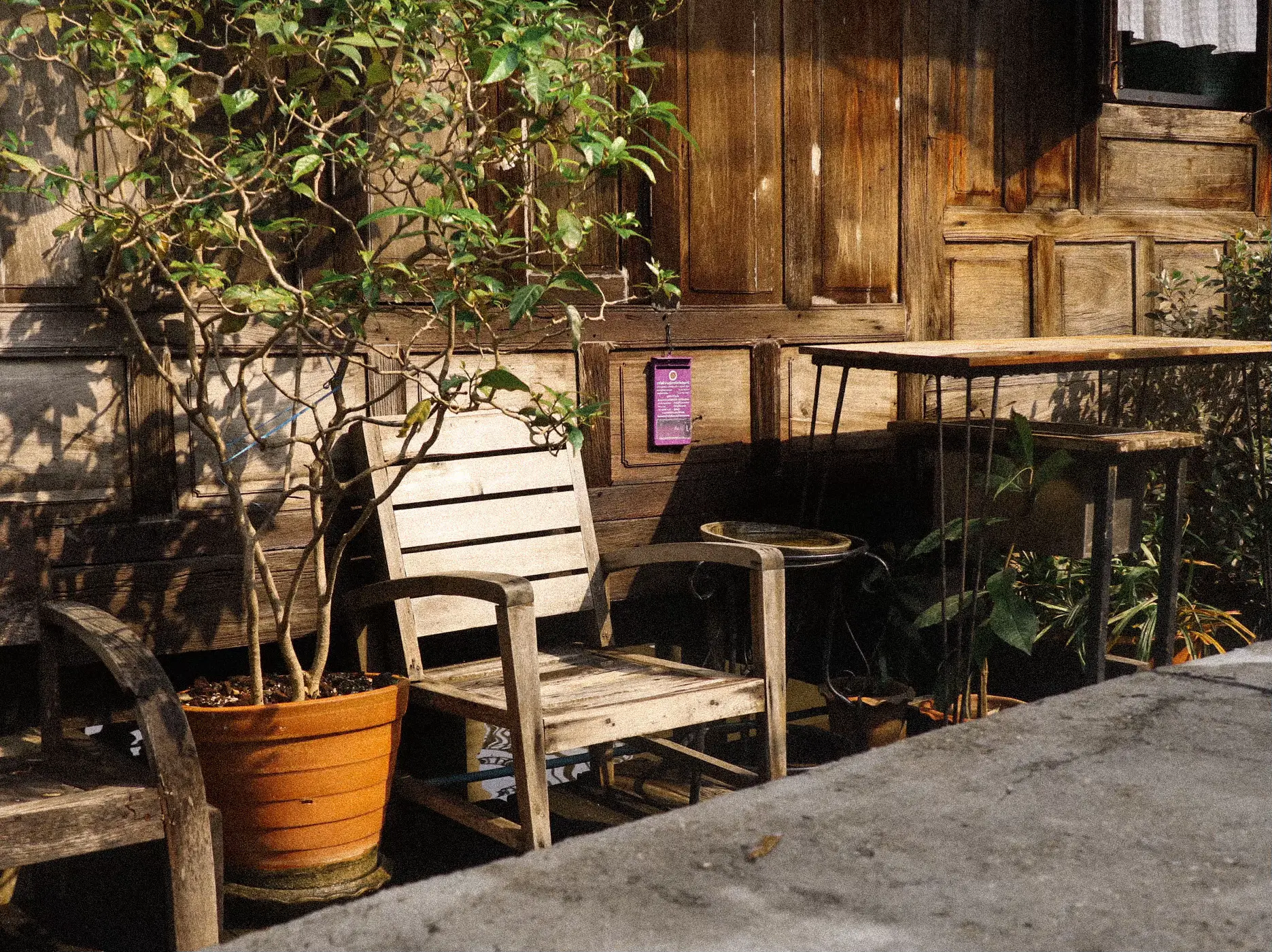 รีวิว : คาเฟ่ริมน้ำเจ้าพระยา บ้านทองกลับ BAAN THONG KRUB | แกลเลอรีที่ ...