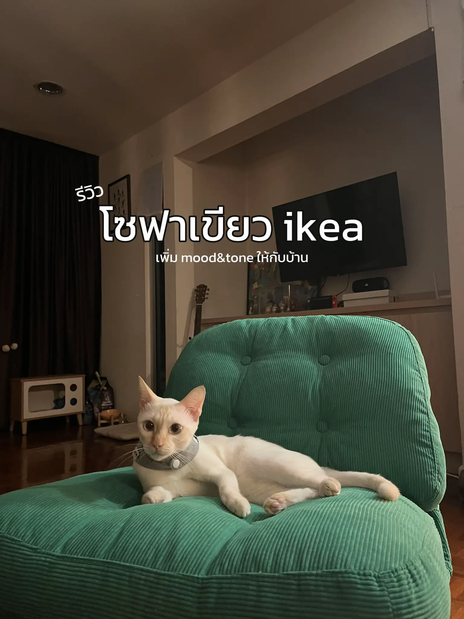 มัดรวม โซฟาเบดที่ IKEA | แกลเลอรีที่โพสต์โดย อยากอวดบ้าน | Lemon8