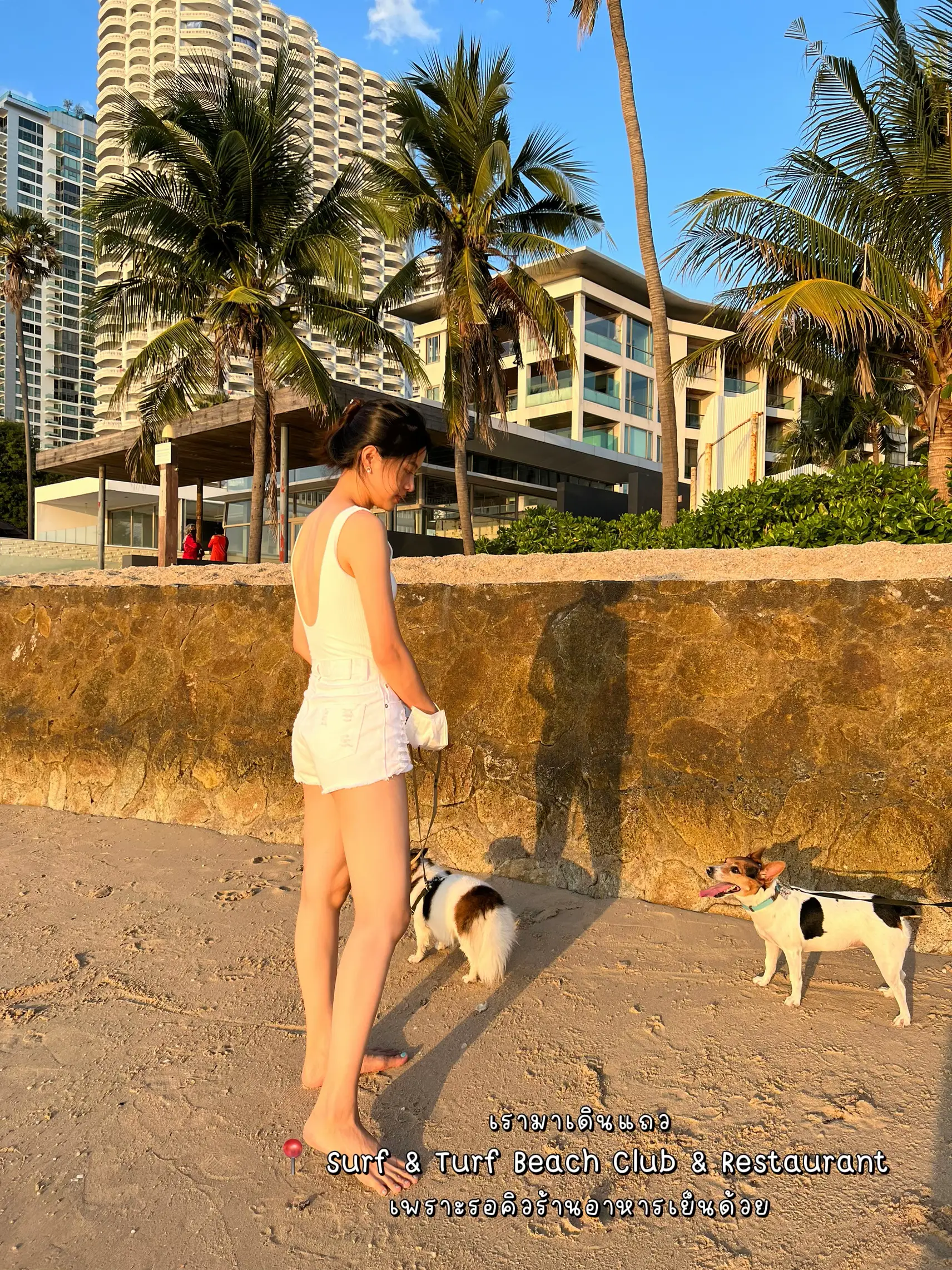 วันเดย์ทริปพัทยา ฉบับ pet friendly 🐶🌊 | แกลเลอรีที่โพสต์โดย ployrk ️ | Lemon8