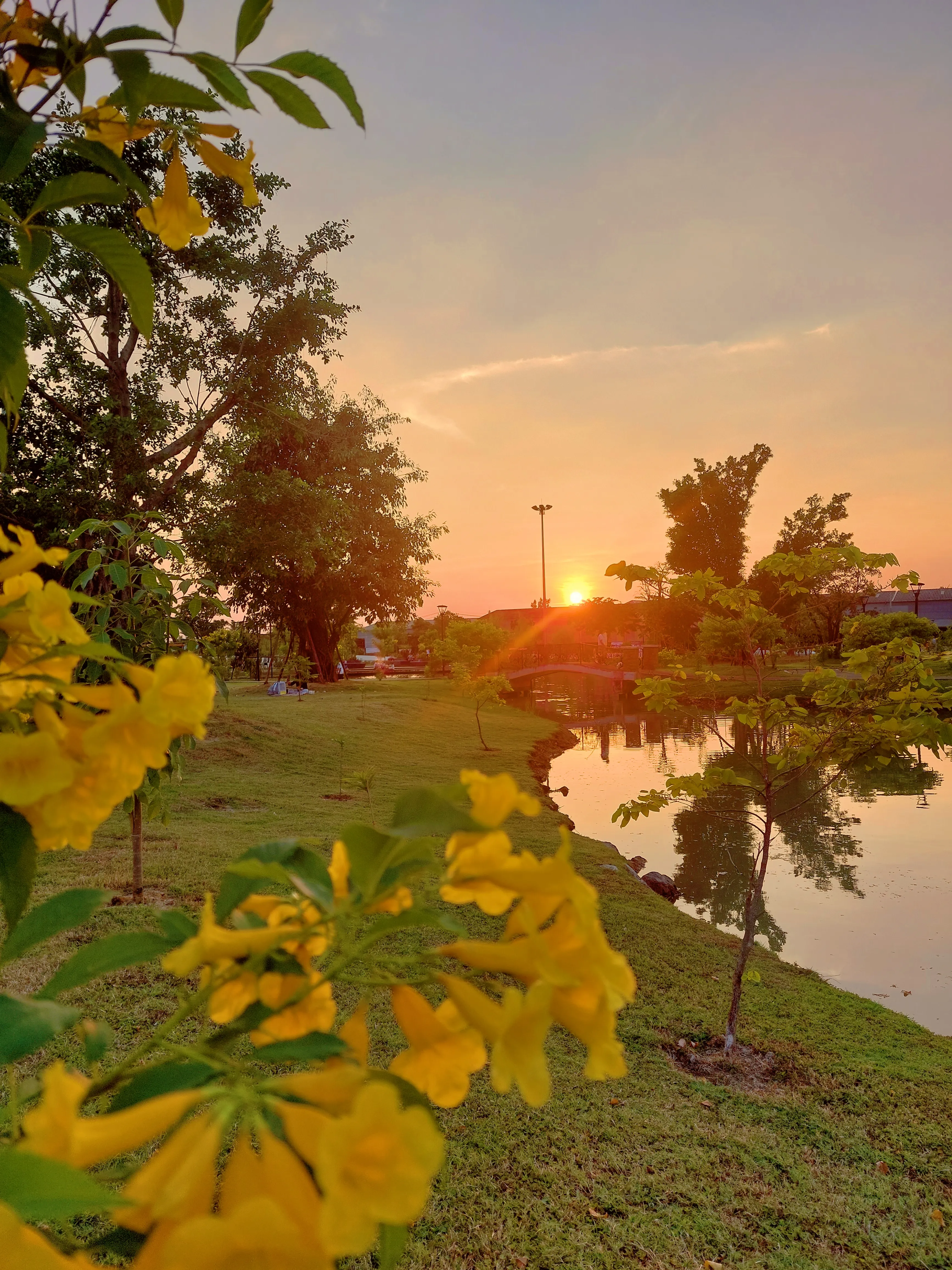 🏃‍♀️วิ่งกลางเมือง🏃 สวนสาธารณะวงแหวน-ถ.พุทธมณฑลสาย2 | แกลเลอรีที่โพสต์ ...