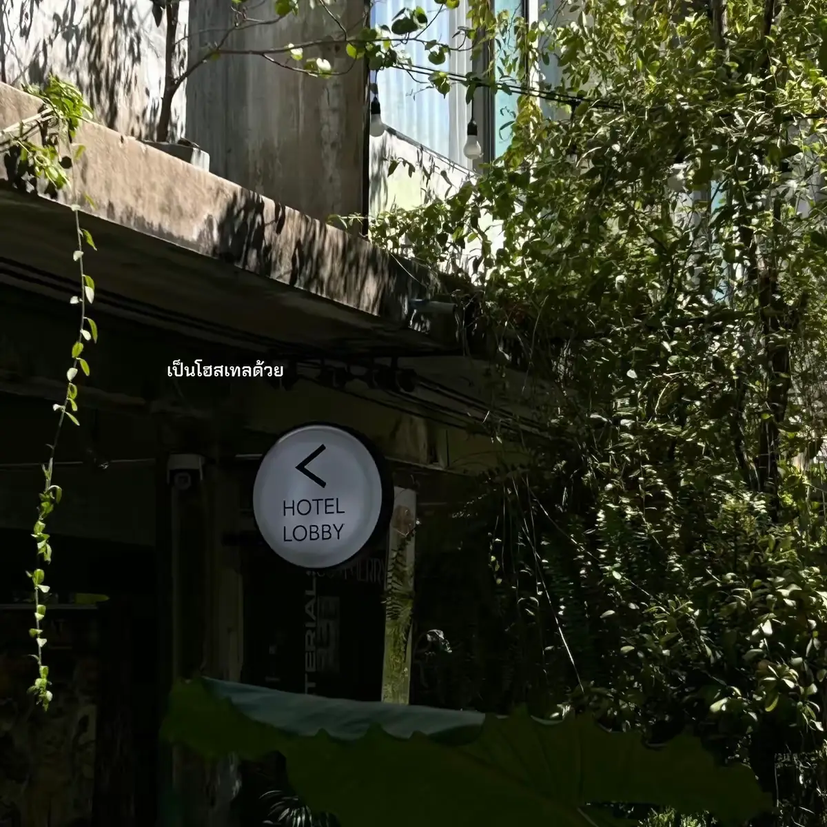 Piccolo vicolo cafe | แกลเลอรีที่โพสต์โดย Tui | Lemon8