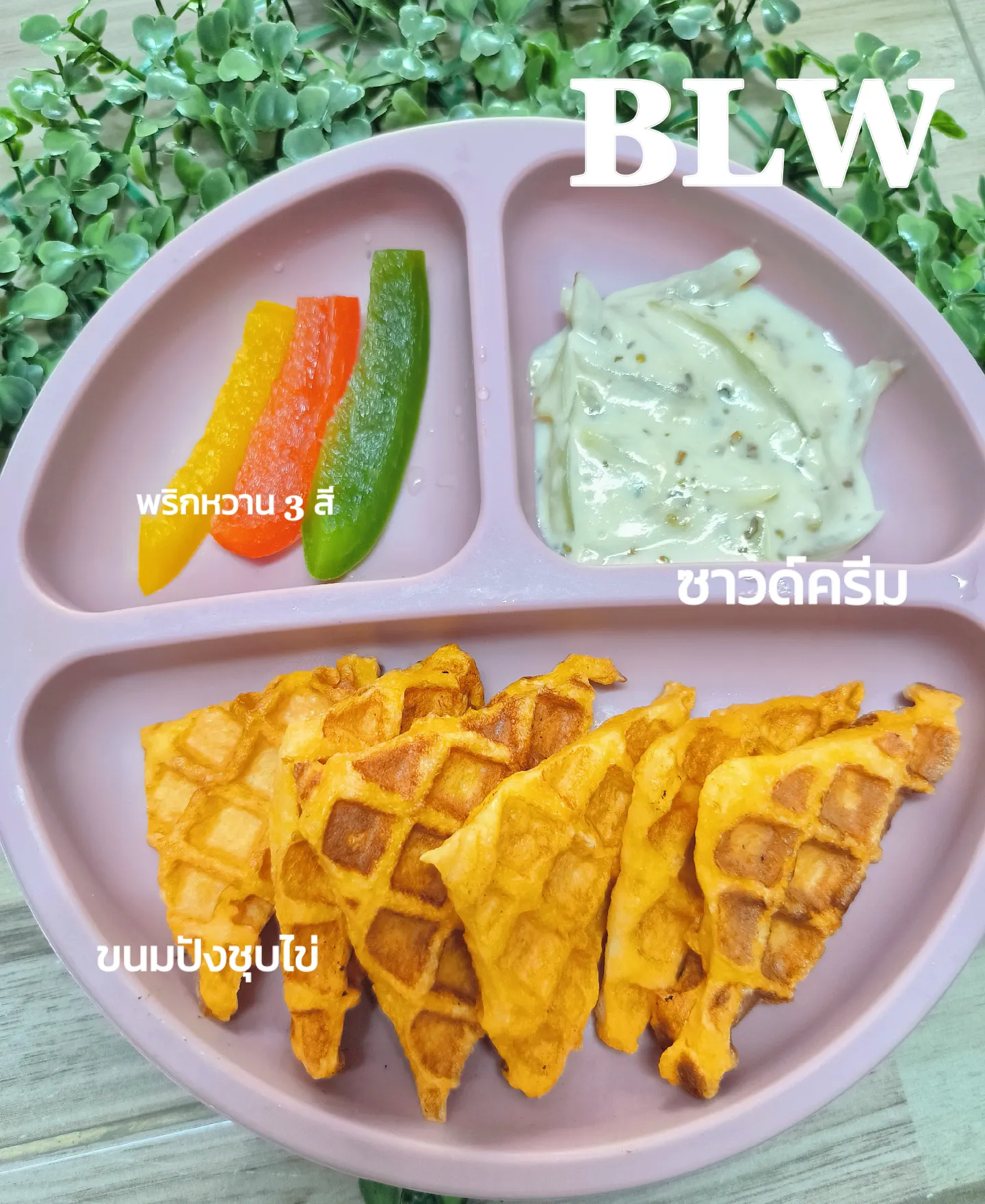 BLW | แกลเลอรีที่โพสต์โดย Warin Danractch | Lemon8