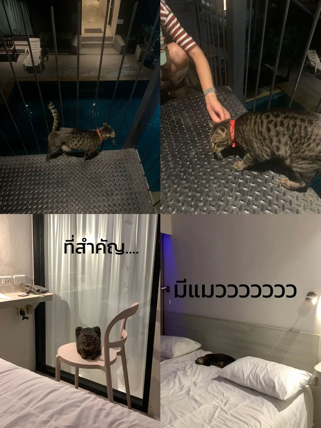 PRIMA HOUSE โรงแรมแถวหาดลับคนละไม่เกิน 300.- | แกลเลอรีที่โพสต์โดย ขนม ...