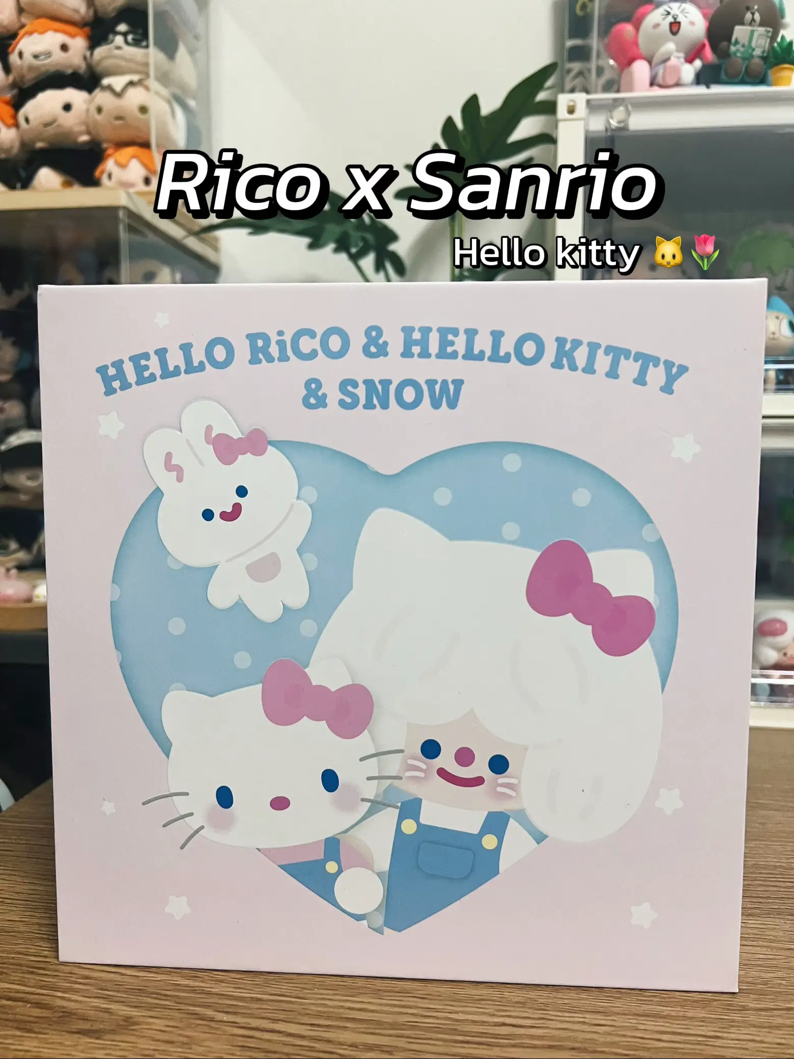 Rico x Sanrio 🐱🌷 | แกลเลอรีที่โพสต์โดย Merlinx🐰🫶🏻 | Lemon8