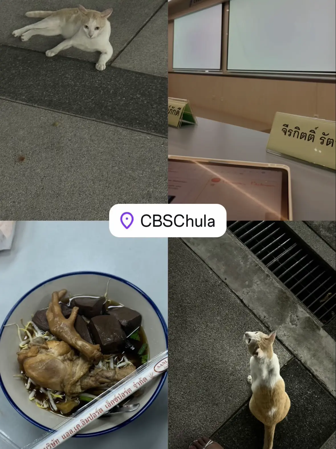 รีวิวเรียนปริญญาโทต่อที่จุฬา Ep.2 | แกลเลอรีที่โพสต์โดย ฉันอยากจะรีวิว ...