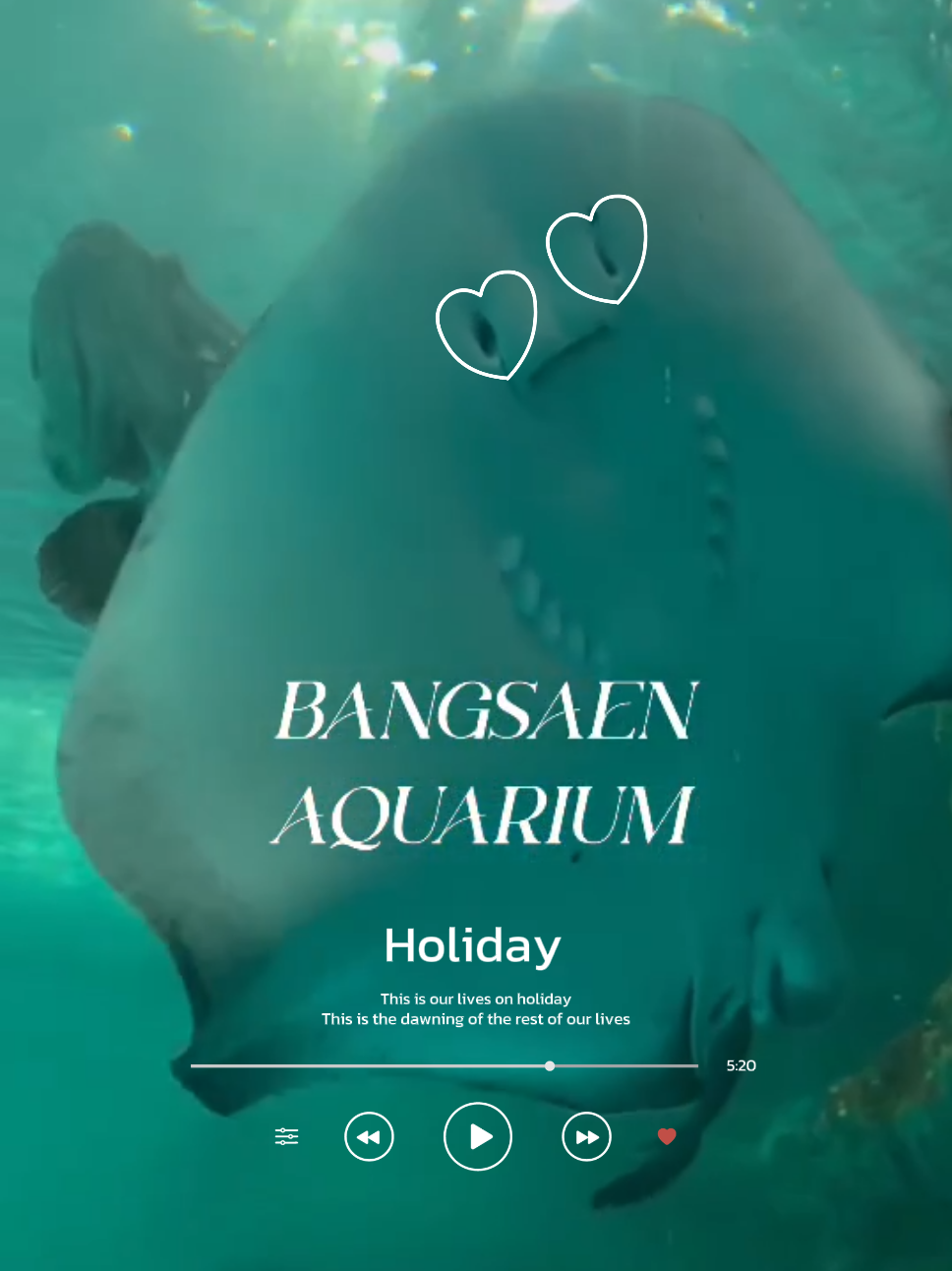 ทริปฮีลใจ EP.2 💙🐟🫶 | วิดีโอที่เผยแพร่โดย Dao A Day | Lemon8