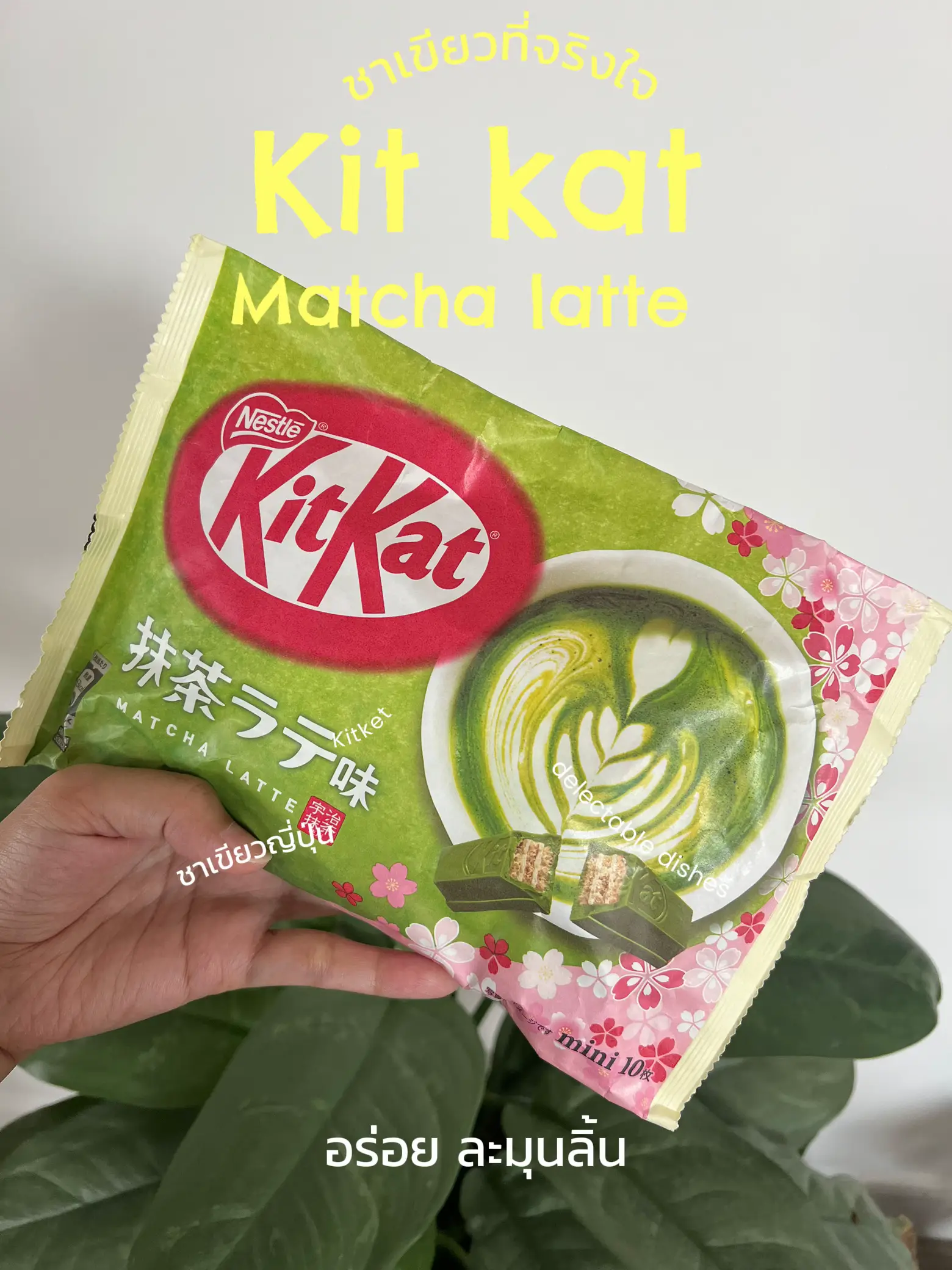 🇯🇵KitKat Matcha Latte 💚🍫 | แกลเลอรีที่โพสต์โดย Holyy 🛋️🪄 | Lemon8