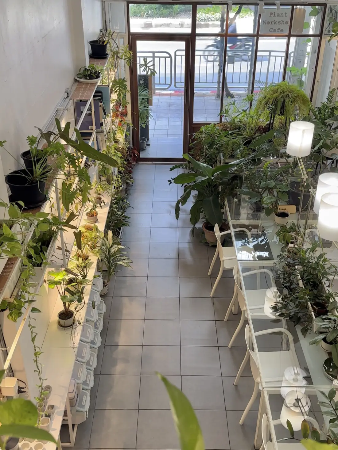 Plant Workshop Cafe | แกลเลอรีที่โพสต์โดย WWWAAKO | Lemon8