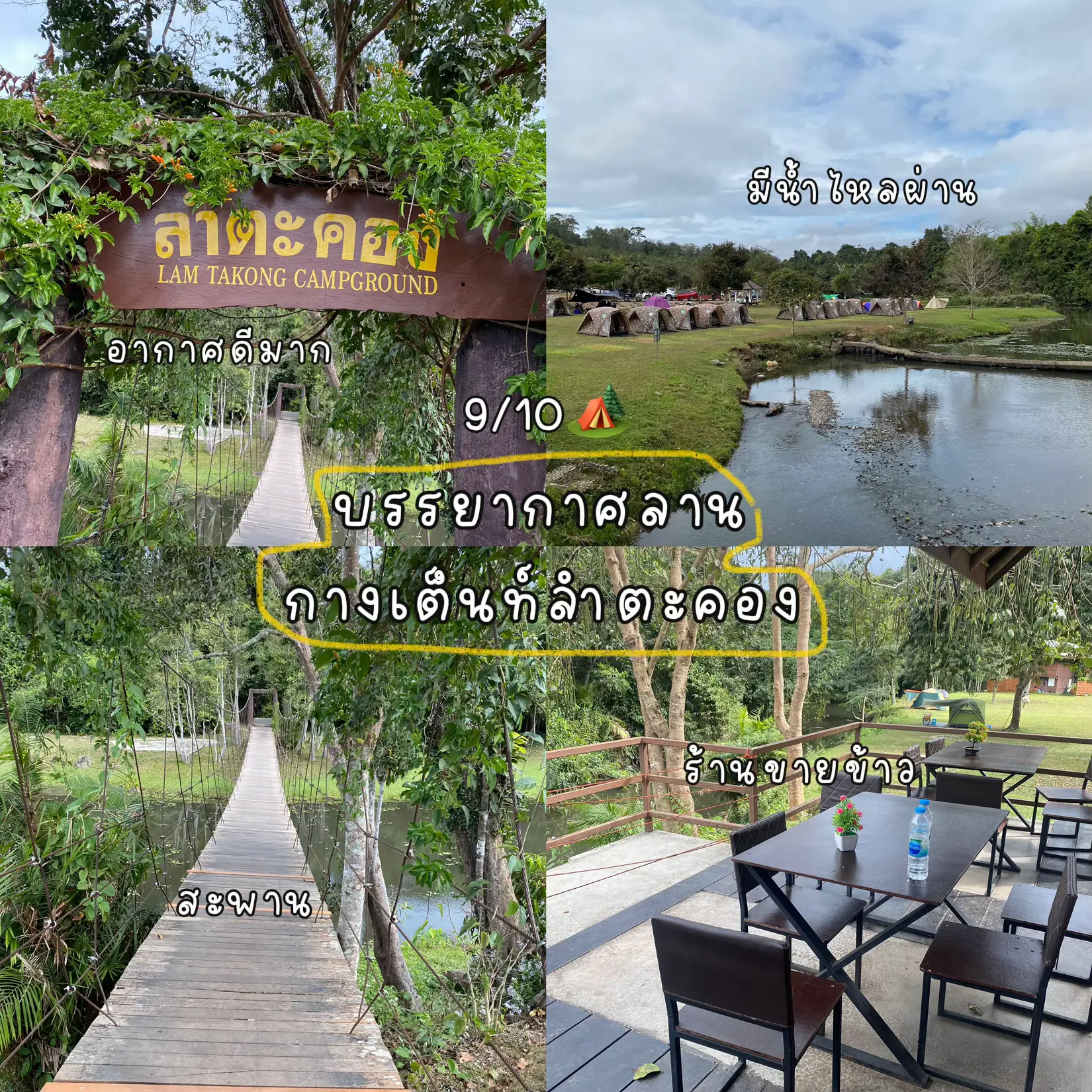 ขับมอไซต์เที่ยวเขาใหญ่🌳🐘🏕️ | แกลเลอรีที่โพสต์โดย coconut | Lemon8