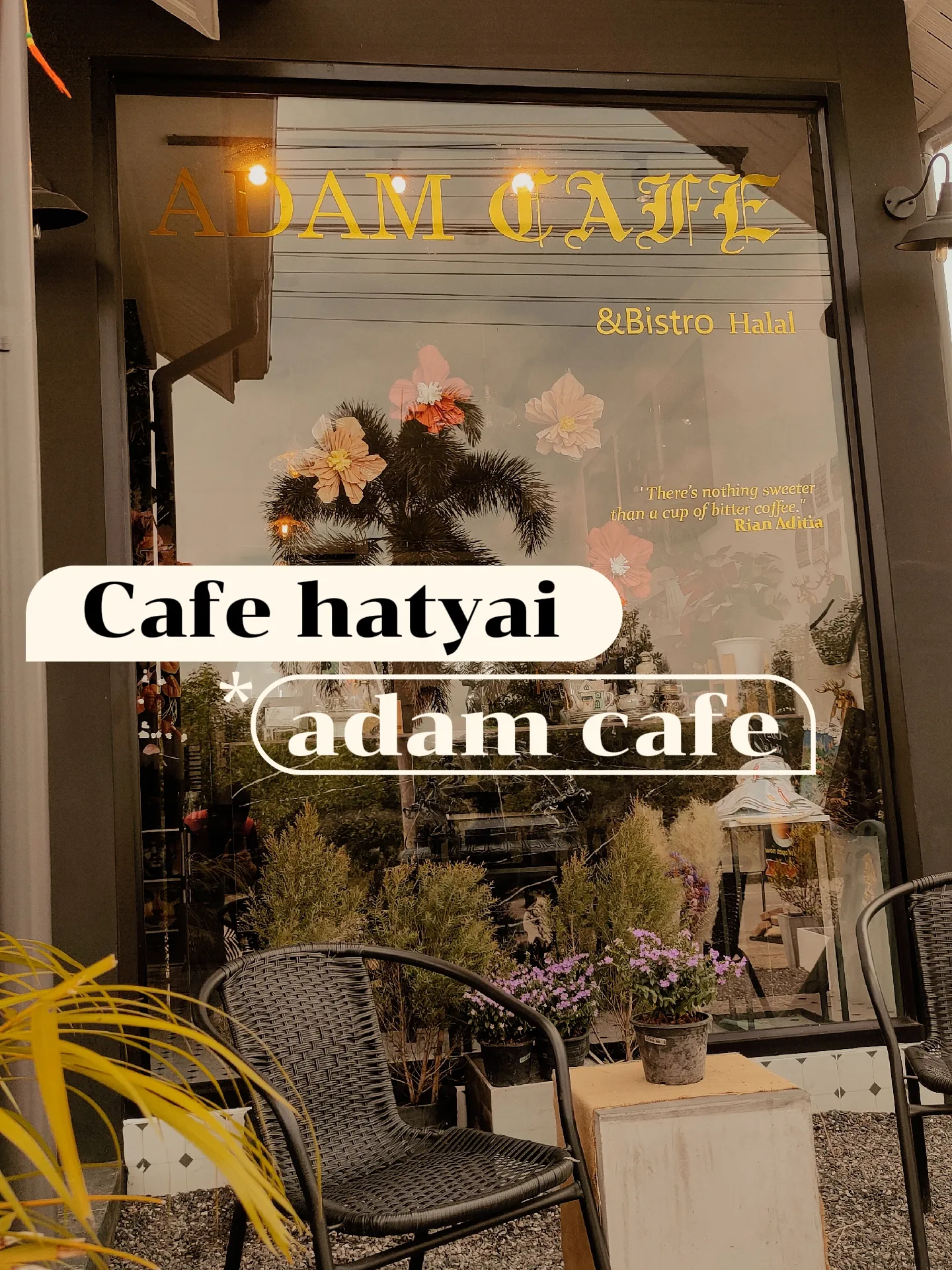 Cafe hatyai | แกลเลอรีที่โพสต์โดย Adamcafe hatyai | Lemon8
