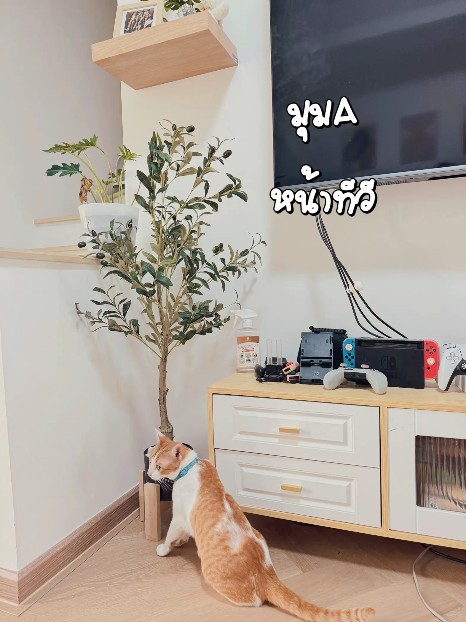 Home Q&A:ช่วยเลือหน่อยค่าวางมุมไหนดี? | แกลเลอรีที่โพสต์โดย Mekyo Home | Lemon8