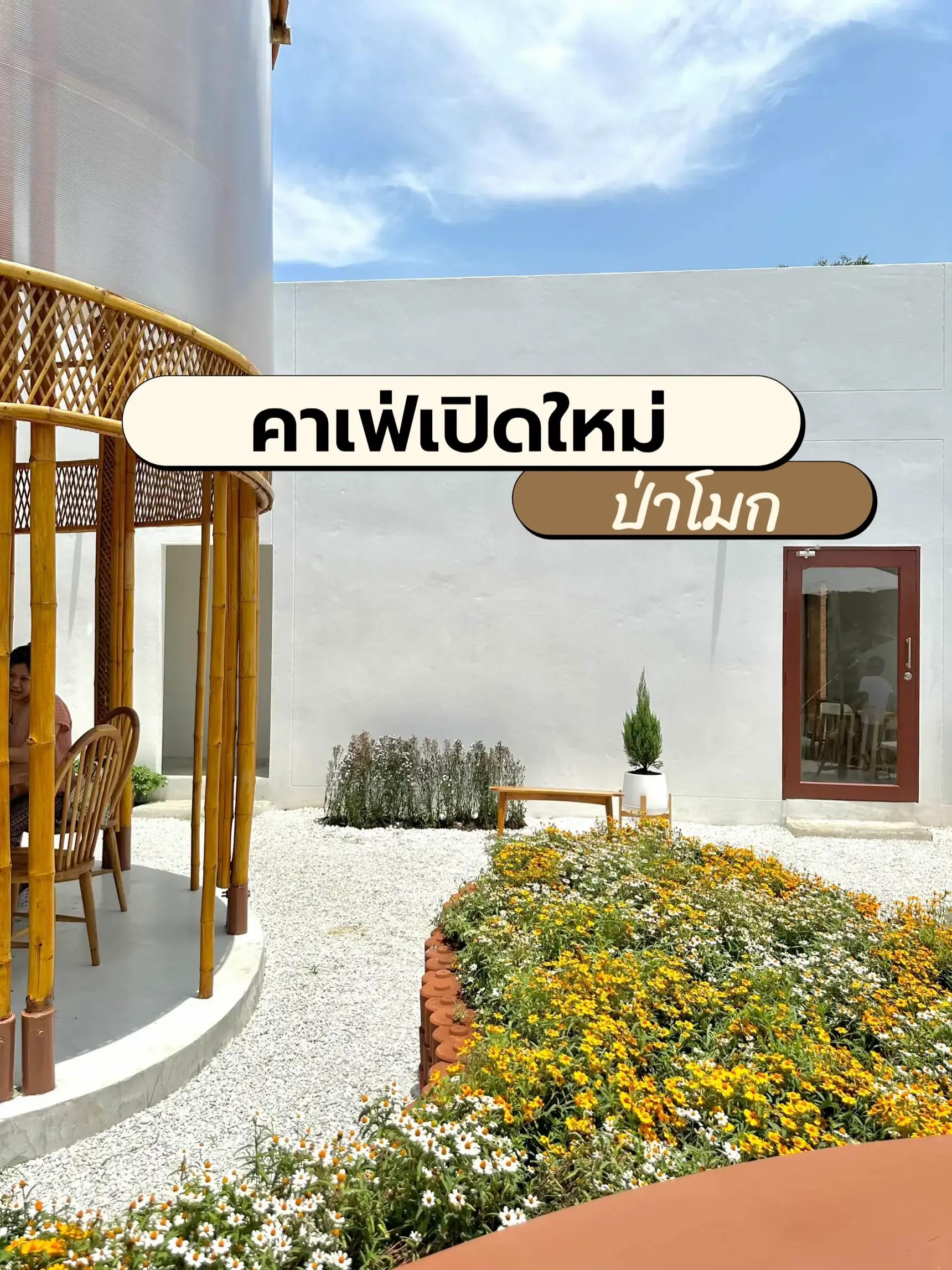 New Open Cafeモクアユタヤフォレストライン | Yadaが投稿したフォトブック | Lemon8