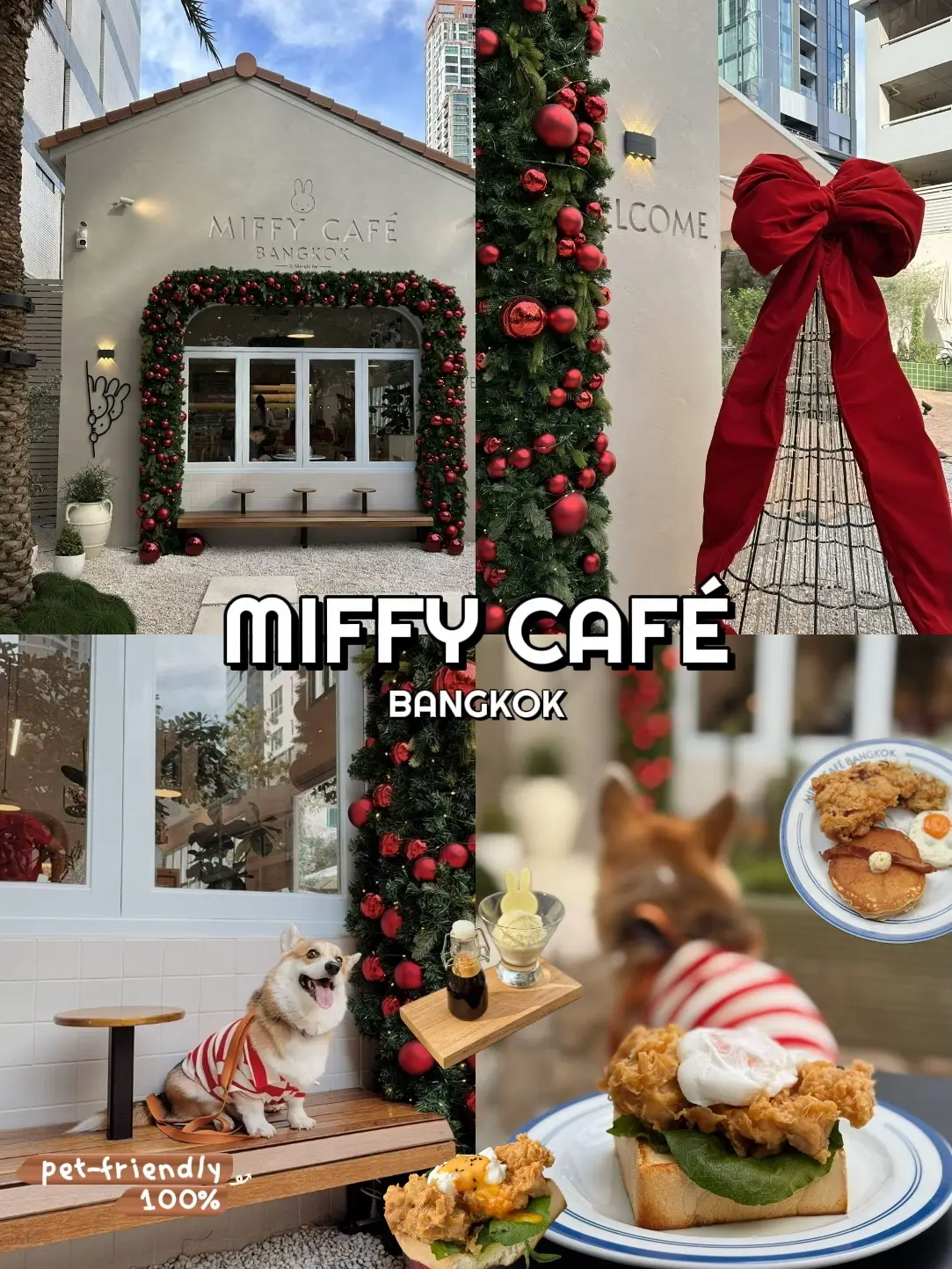 MIFFY CAFE 🐰 คาเฟ่สาทรเปิดใหม่ vibe ดีมาก! | แกลเลอรีที่โพสต์โดย CousCousAtelier | Lemon8