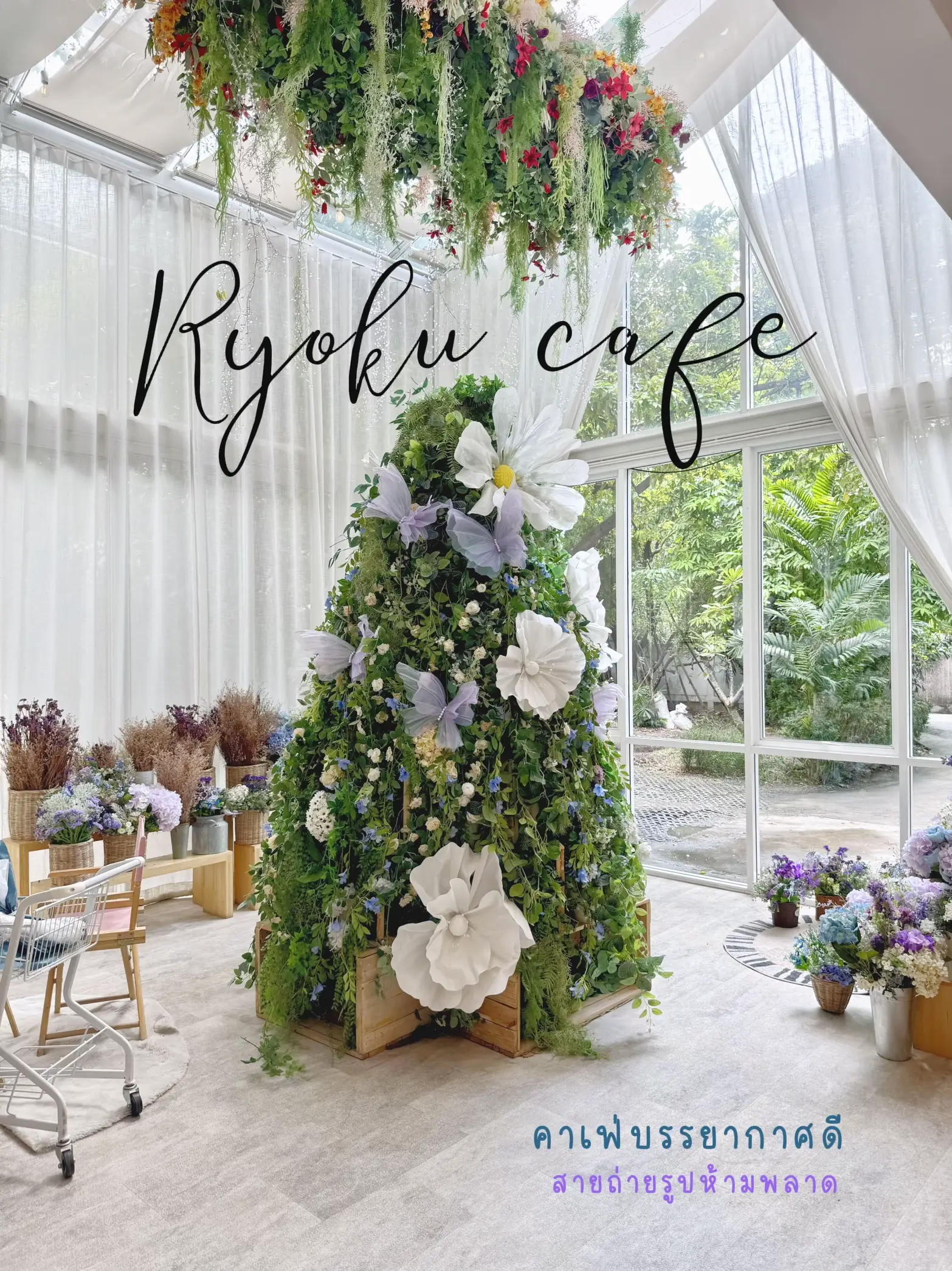 ร้านกาแฟ Ryokucafe | 2025 ประสบการณ์ผู้ใช้จริงบน Lemon8