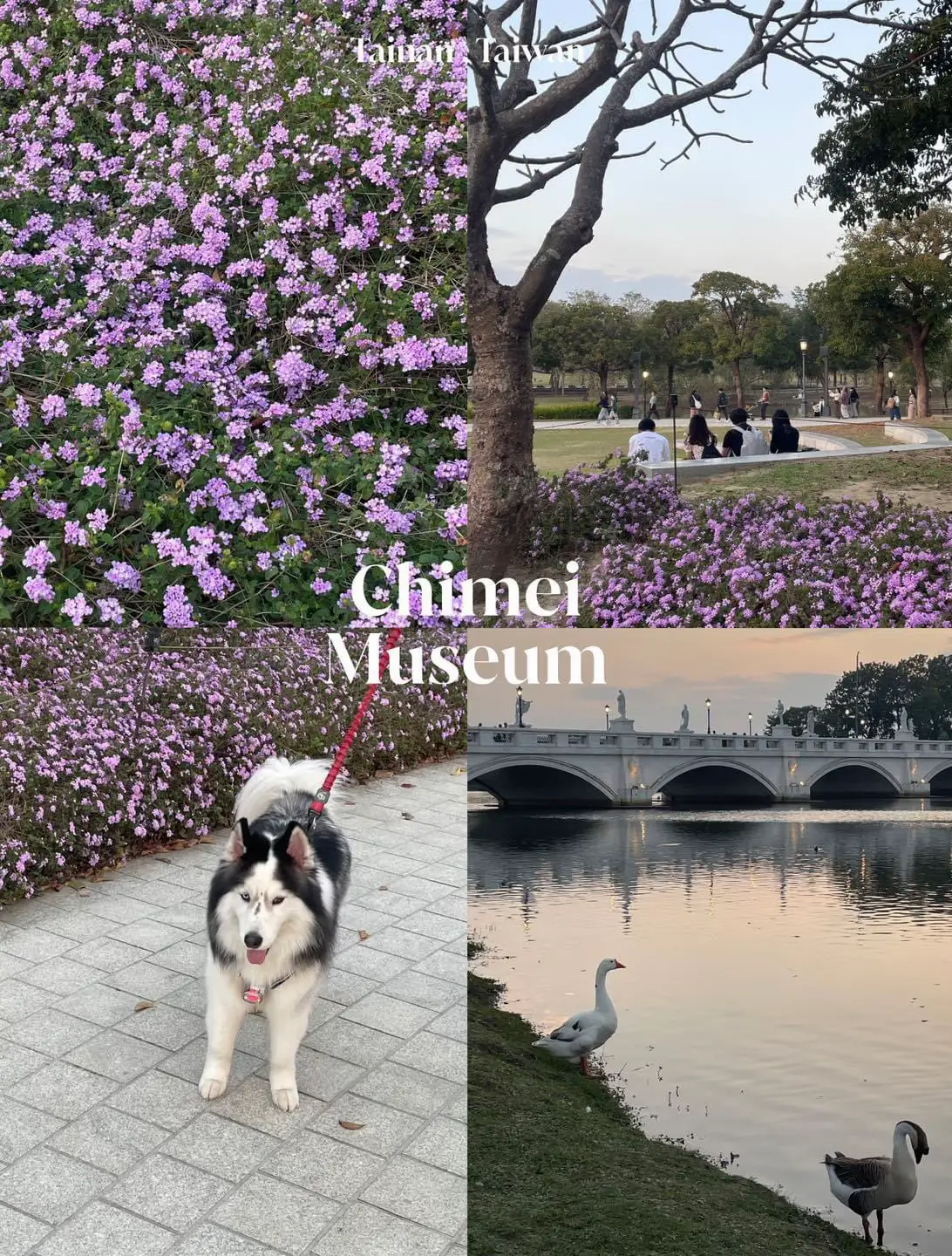 ไถหนาน เมืองสุดฮิปในไต้หวัน 🇹🇼⭐️ | แกลเลอรีที่โพสต์โดย lbzero | Lemon8