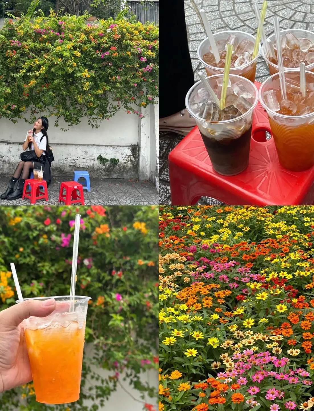 Update! โฮจิมินห์ ล่าสุด 🎄⭐️ | แกลเลอรีที่โพสต์โดย lbzero | Lemon8