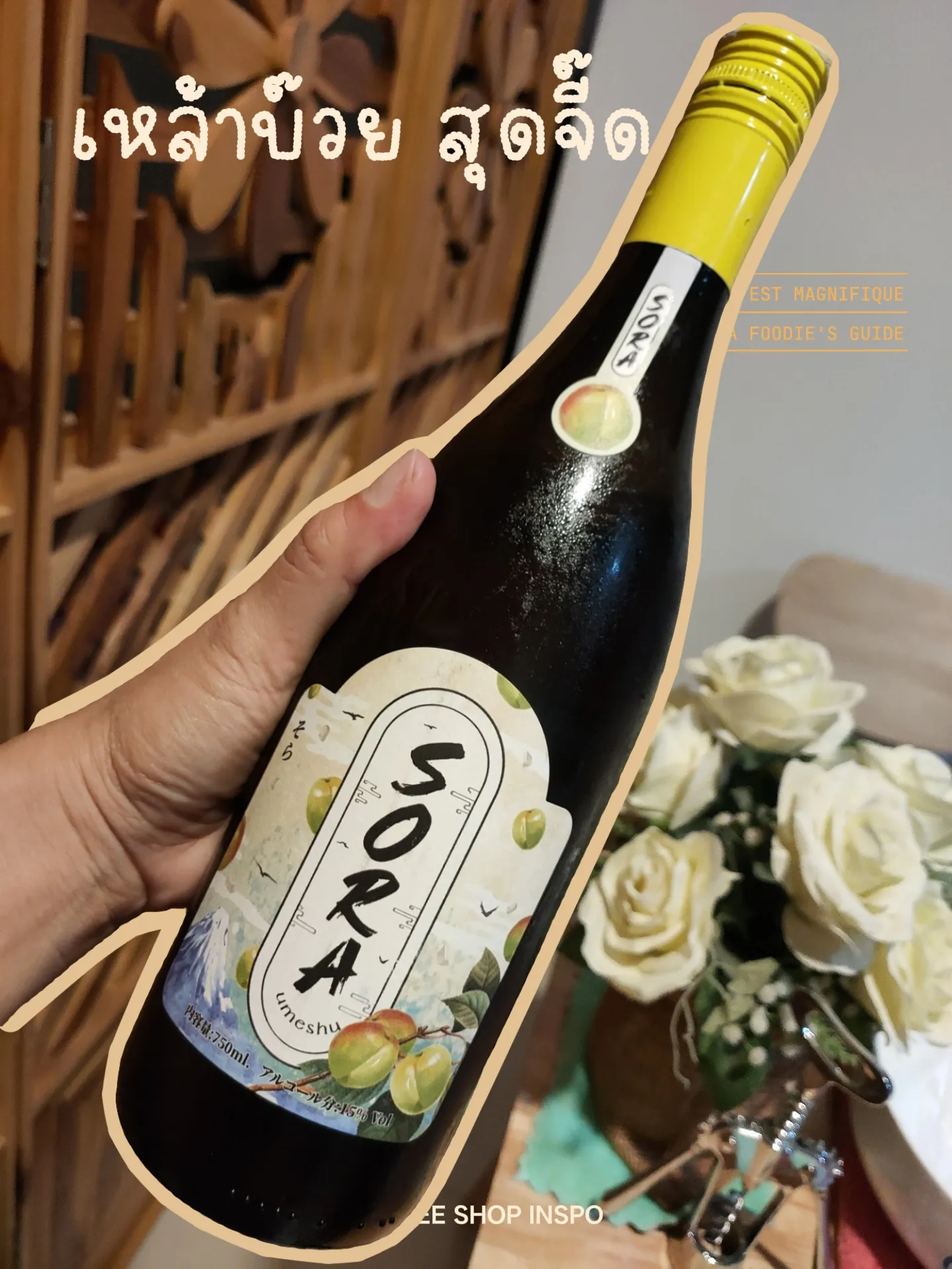 20 ไอเดียยอดนิยมเกี่ยวกับ เหล้าบ๊วย Sora ในปี 2024