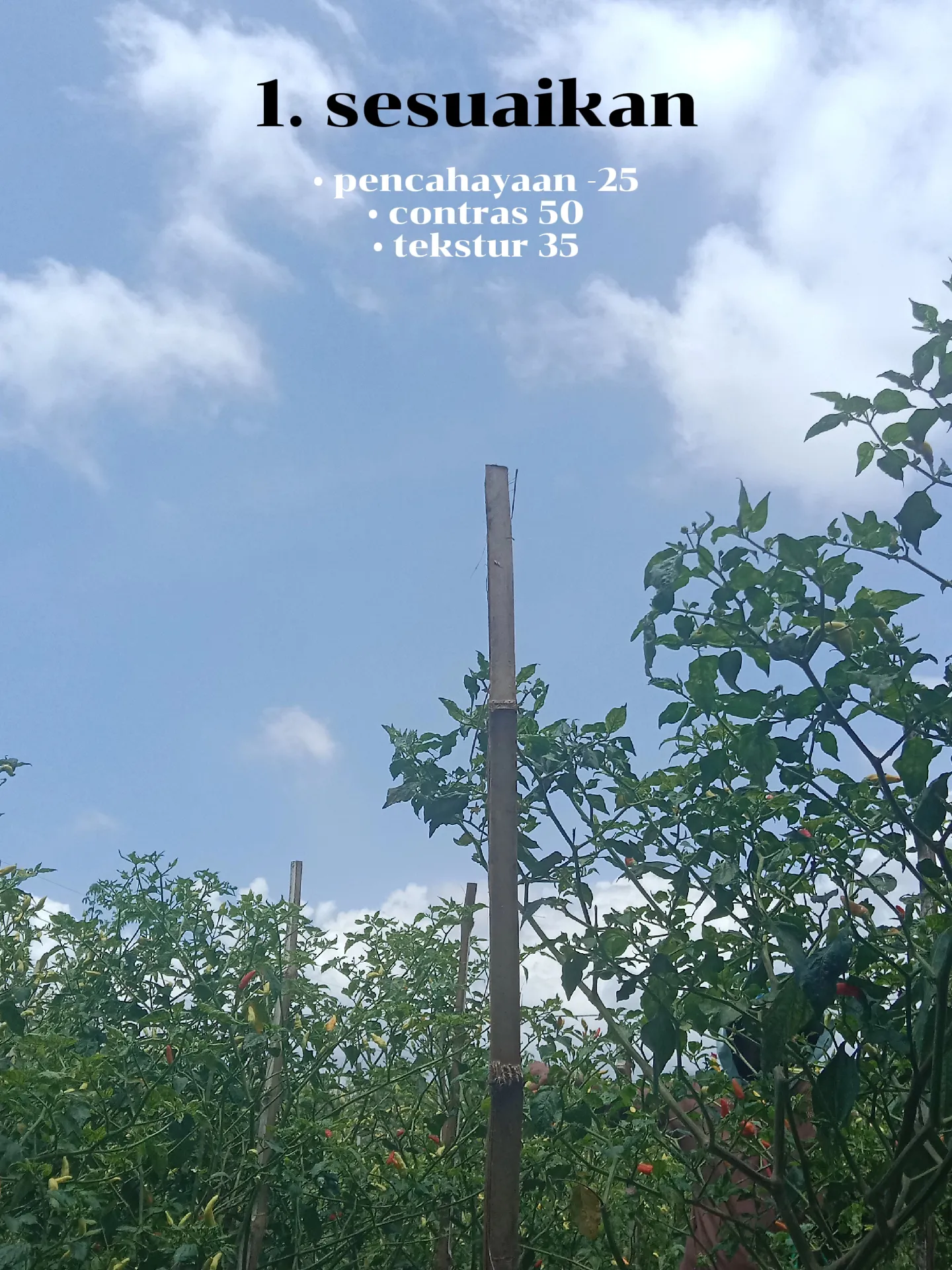 my editing tips dari aplikasi lemon8😍simple banget | Galeri diposting oleh Mel🫧 | Lemon8