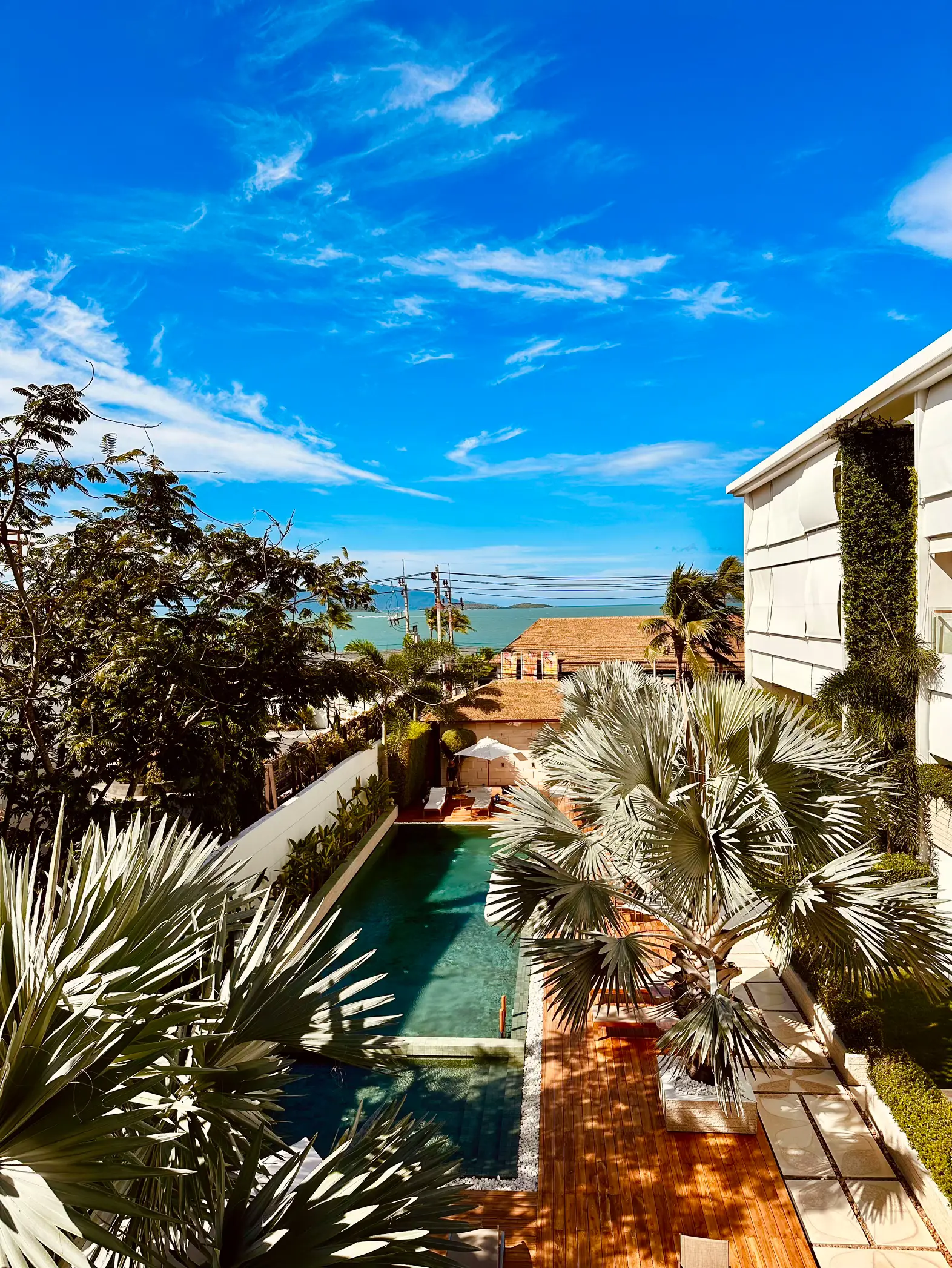 CHI SAMUI เพราะทุกวันคือการพักผ่อน | แกลเลอรีที่โพสต์โดย Tawyii | Lemon8