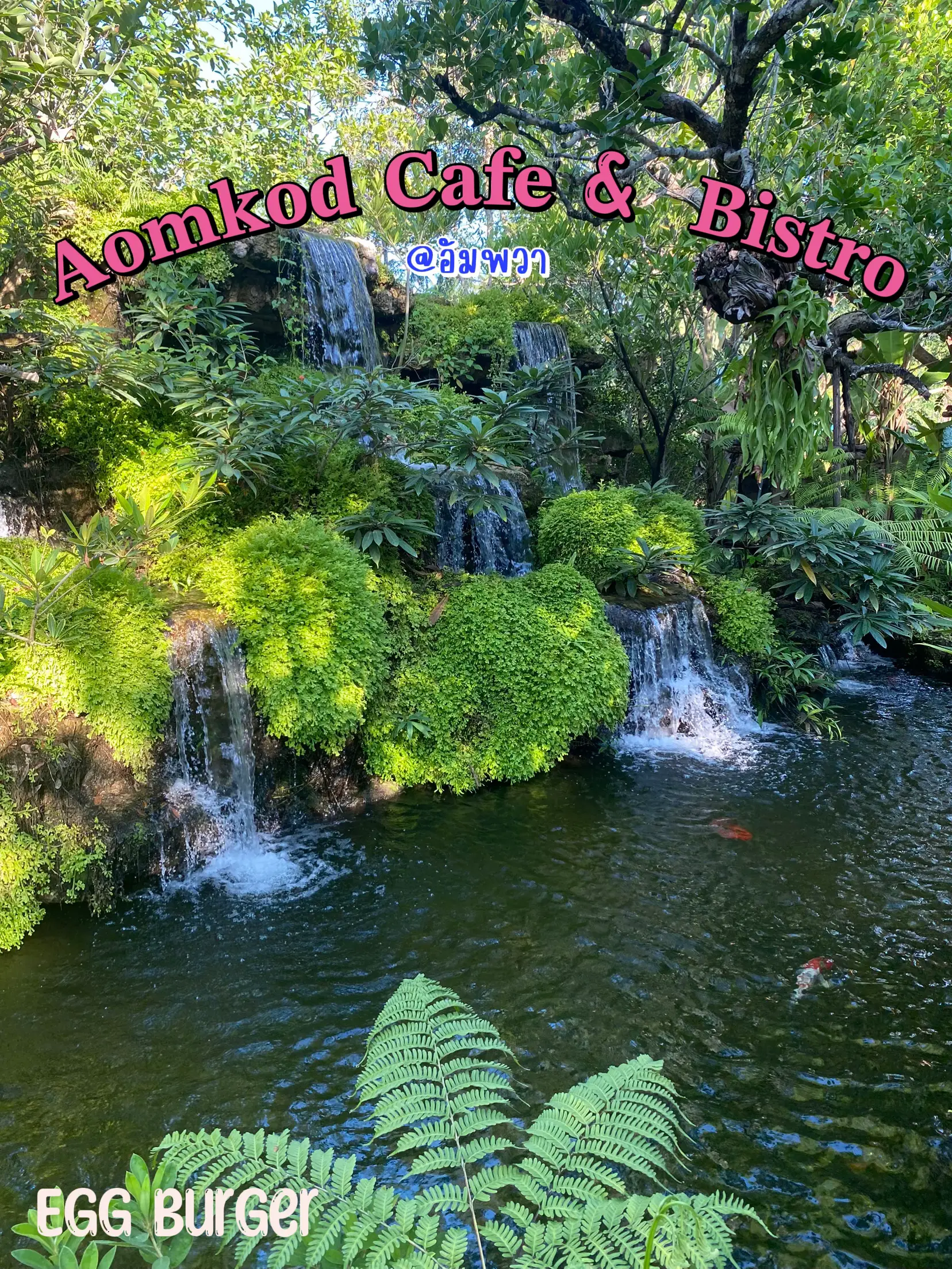 🪴𝐀𝐨𝐦𝐤𝐨𝐝 𝐂𝐚𝐟𝐞 & 𝐁𝐢𝐬𝐭𝐫𝐨🪴 | แกลเลอรีที่โพสต์โดย Supattra Aor | Lemon8