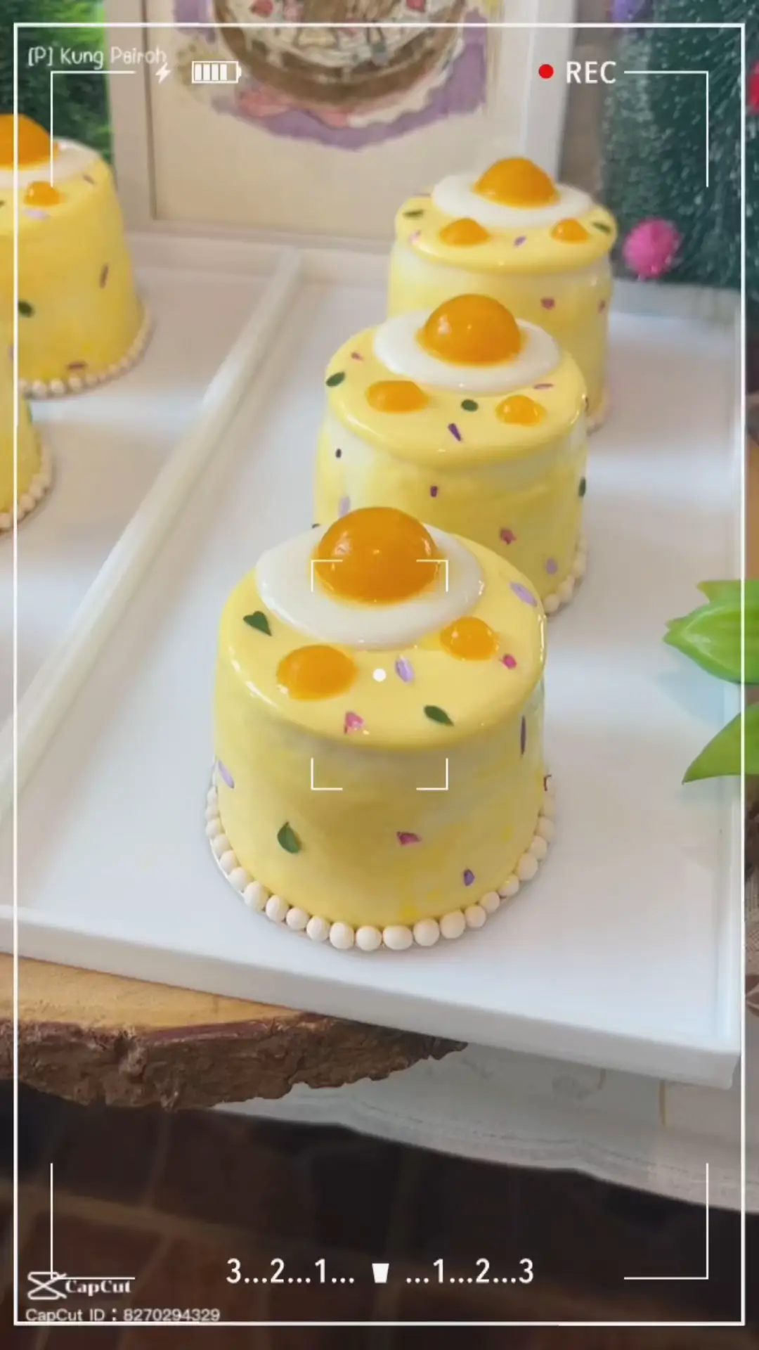 Mango Coconut Mousse Cake🥭🥥 | วิดีโอที่เผยแพร่โดย Phantaree Saksi | Lemon8