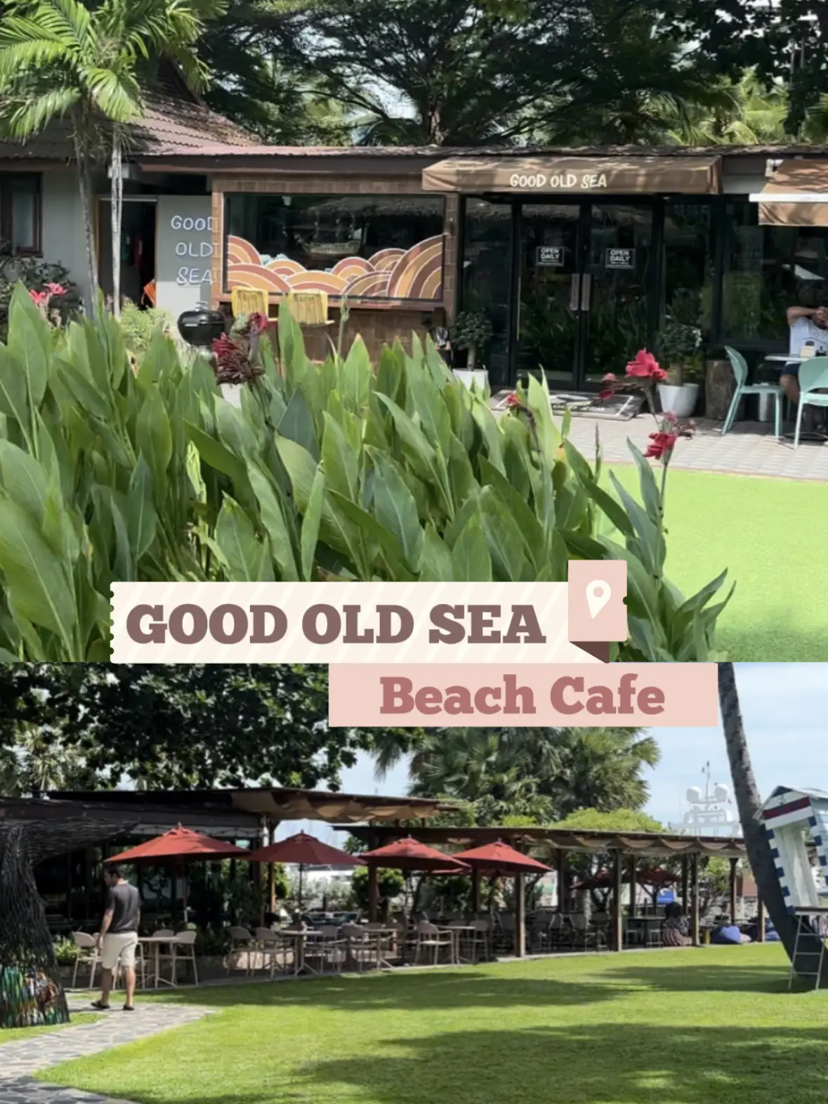 Good old sea beach cafe เป็นคาเฟ่ติดทะเล ร่มรื่น | แกลเลอรีที่โพสต์โดย ...
