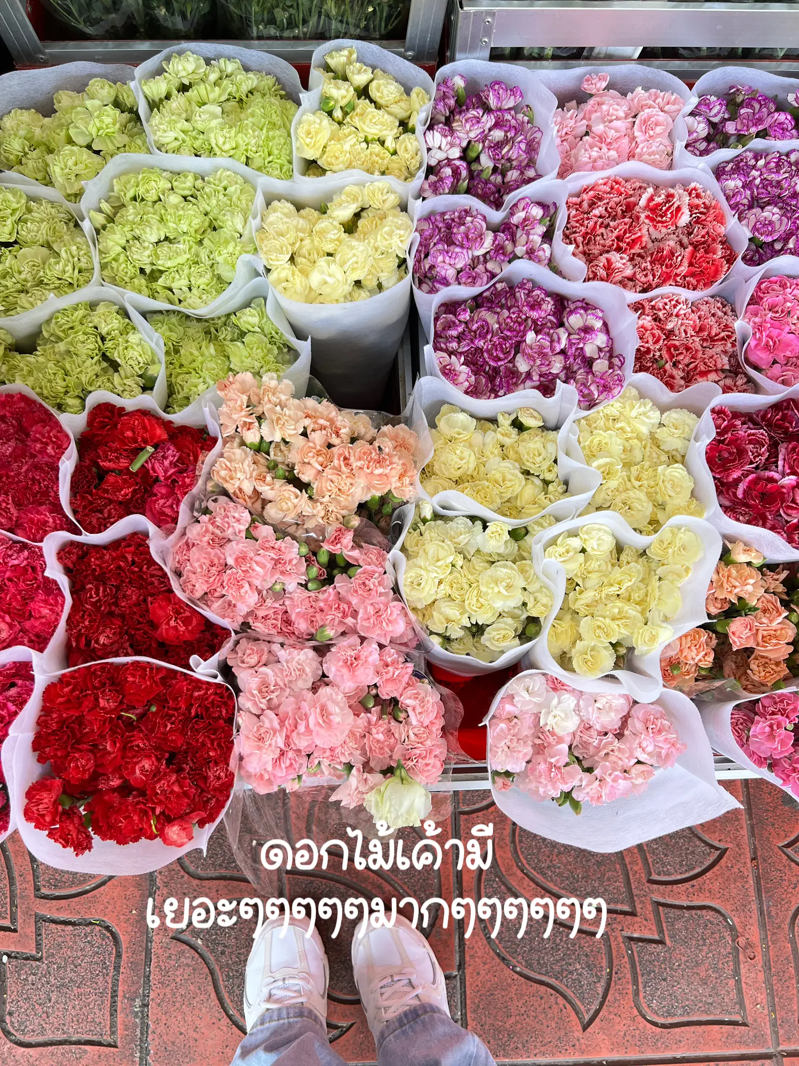 ร้านดอกไม้Dee Dee ดอกไม้สุดเจ๋งที่ปากคลองตลาด🌷 | แกลเลอรีที่โพสต์โดย ...