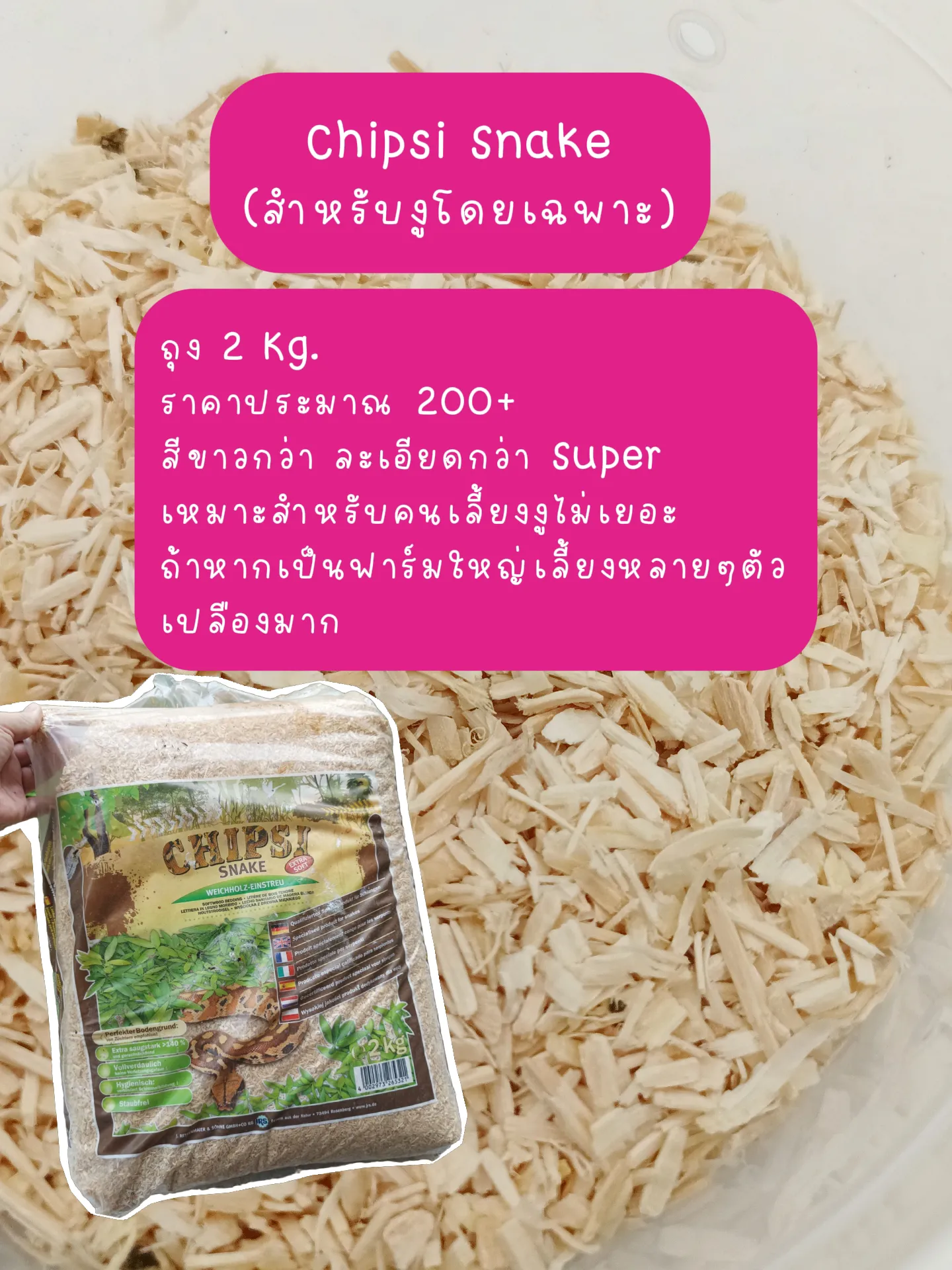 เทียบชัดๆ ‼️ ขี้เลื่อย Chipsi แบบไหนดีกว่ากัน | แกลเลอรีที่โพสต์โดย ...