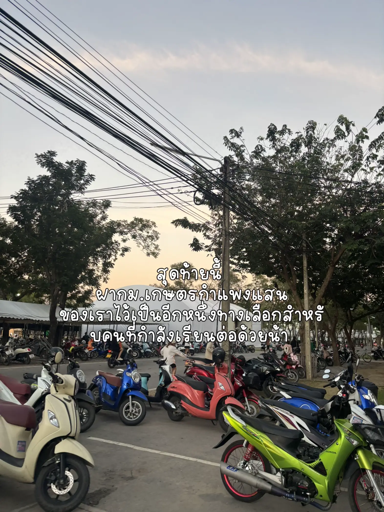 🌳 Ku kps# จากใจเด็กสอบติดเกษตร | แกลเลอรีที่โพสต์โดย Jinglepangji | Lemon8