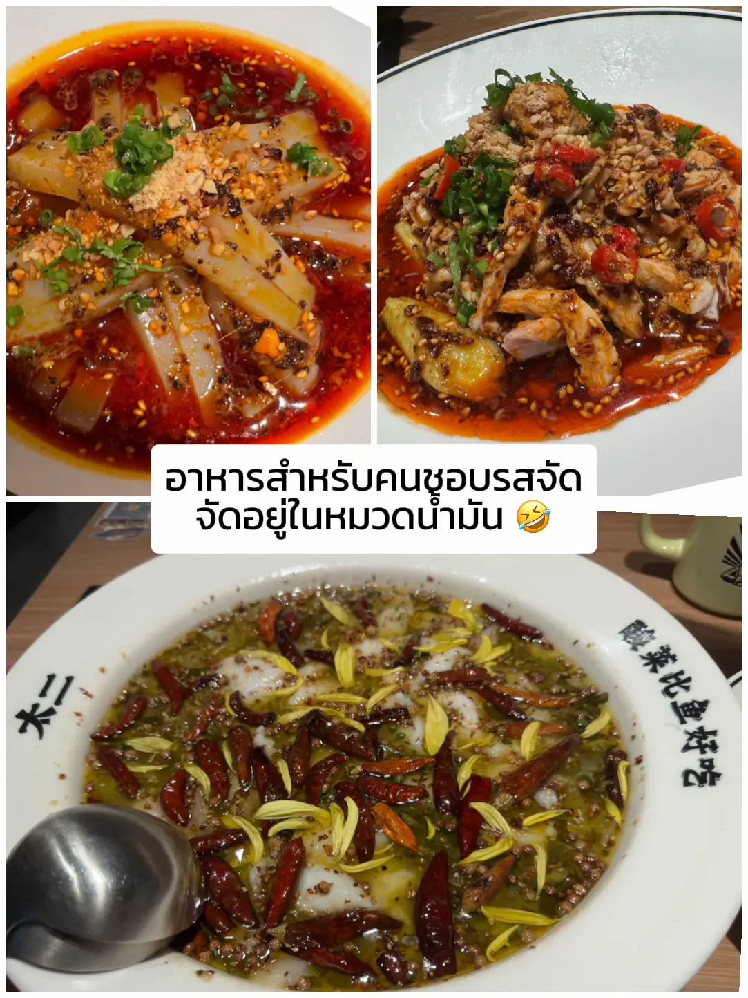 รีวิวร้าน ไท่เออร์ TAI ER อาหารจีน @CTW | แกลเลอรีที่โพสต์โดย LiL💋 | Lemon8