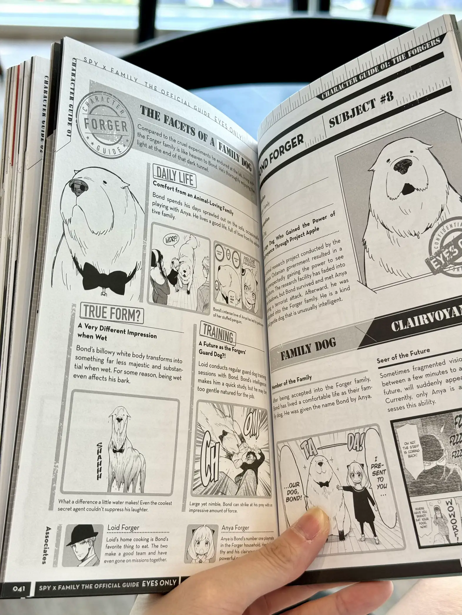 SPY x Family Official Guide | แกลเลอรีที่โพสต์โดย Mandy is sleepy | Lemon8