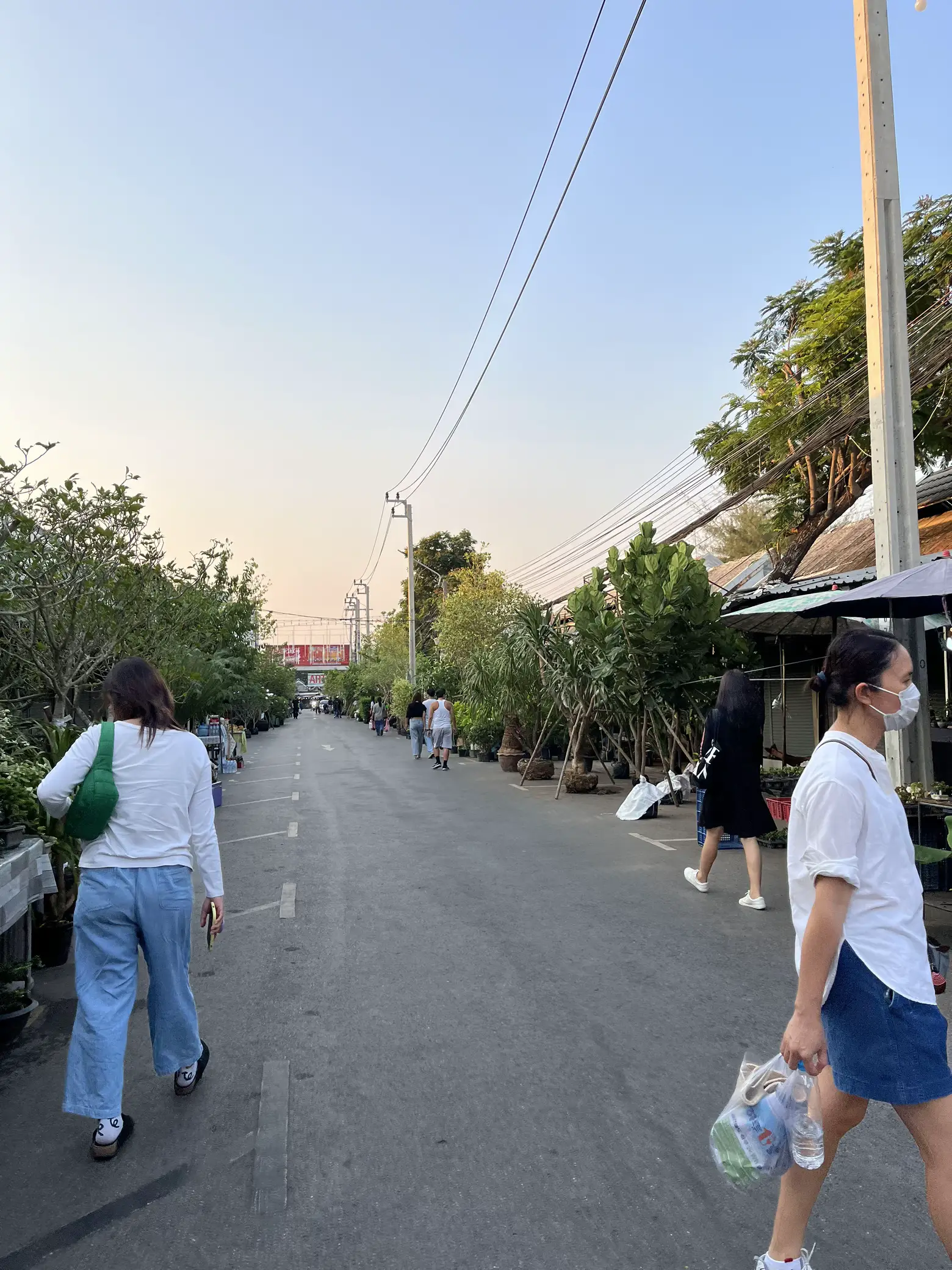 ตลาดต้นไม้จตุจักร 🌳 | แกลเลอรีที่โพสต์โดย once a week 🛵 | Lemon8