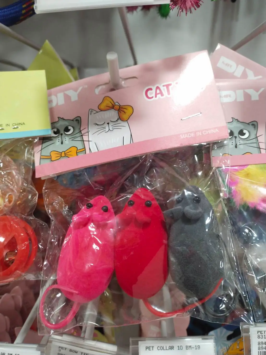 ของเล่นน้องแมว | แกลเลอรีที่โพสต์โดย Napat_Ubon | Lemon8