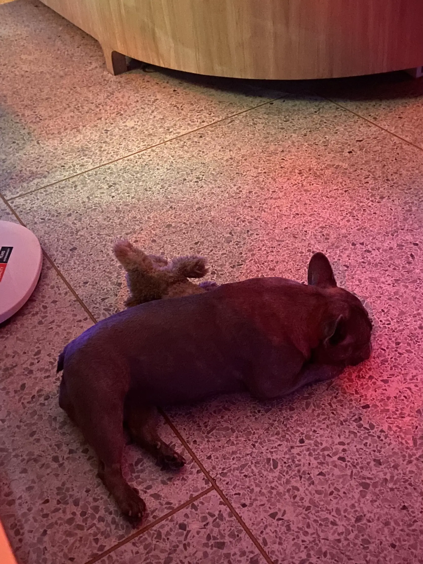 🍸Du.u.sleep?- บาร์ไม่ลับที่ต้องมาสักครั้งใน Pattaya🍻🍷 | แกลเลอรีที่โพสต์โดย Shall we sip 🍷 | Lemon8