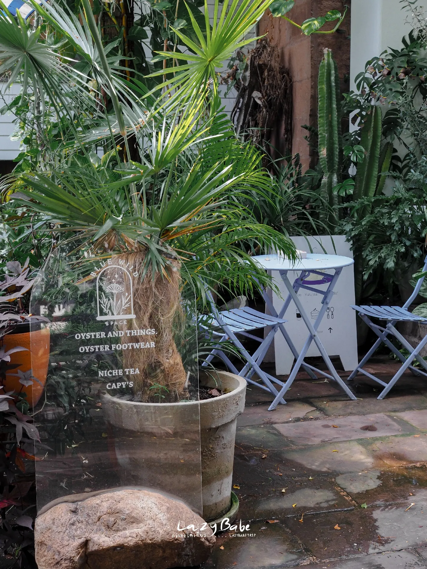 Blue Wild Space พิกัดของแต่งบ้านสวยๆ | แกลเลอรีที่โพสต์โดย Lazy Babe | Lemon8