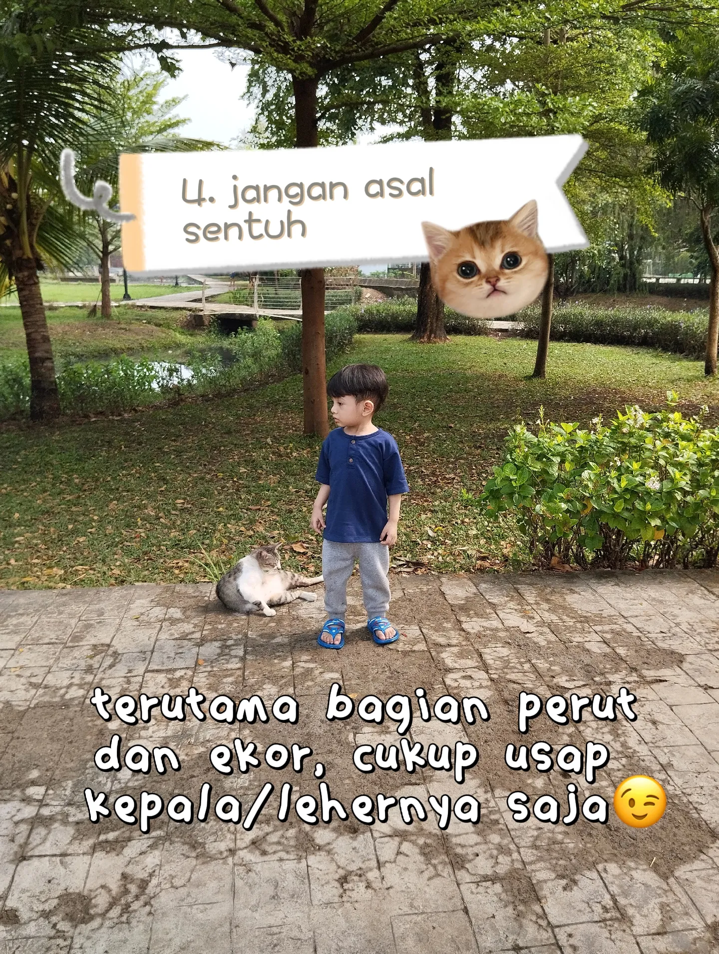 SIAPA YANG UDAH BESAR MASIH TAKUT MEOW!?😣sstt jang | Galeri diposting ...