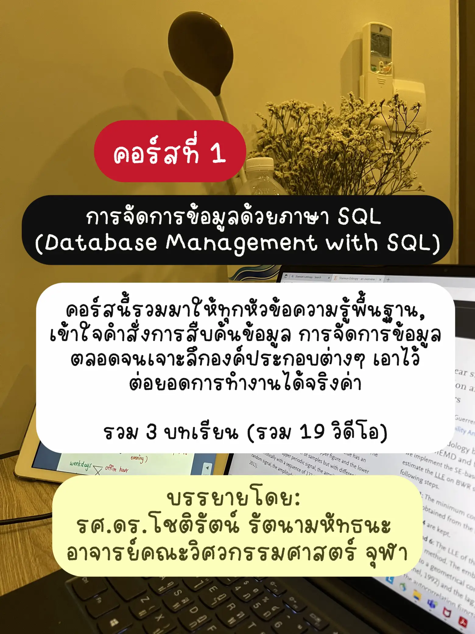 4 Website รวม Dataset สำหรับฝึกสาย Data Science 📈 | แกลเลอรีที่โพสต์โดย Baitoey | Lemon8