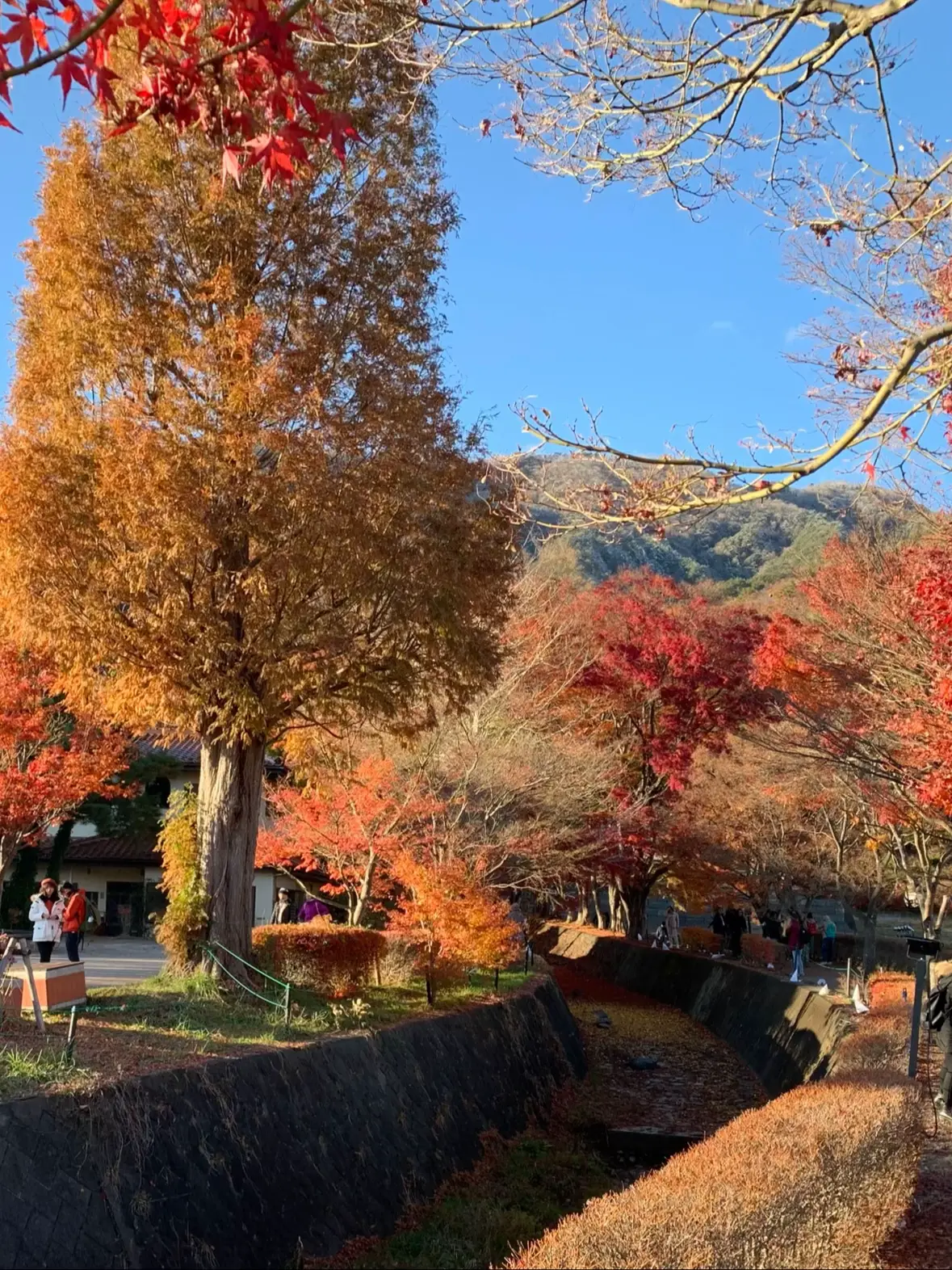 〰️ 🗻 One day in Tokyo ep.5 🍡 fuji san 🍁 | แกลเลอรีที่โพสต์โดย i_____ink | Lemon8