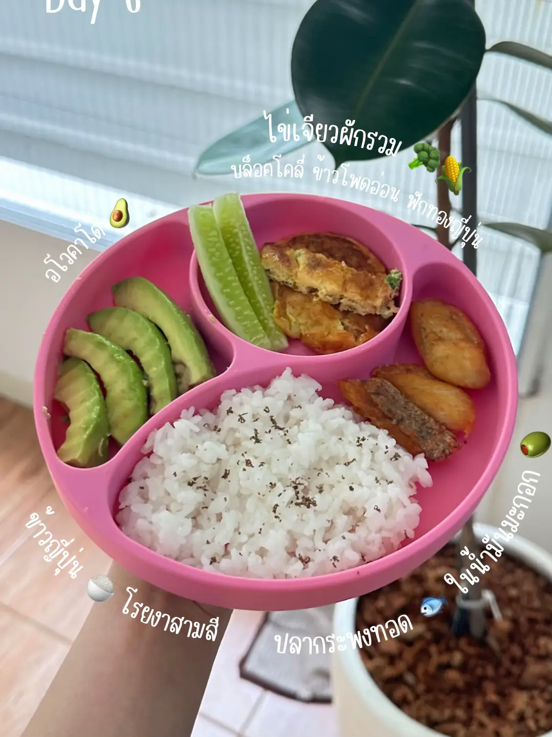 เมนูอาหาร BLW ( 6+ M) 🍋 | แกลเลอรีที่โพสต์โดย เมนูอาหารลูก | Lemon8