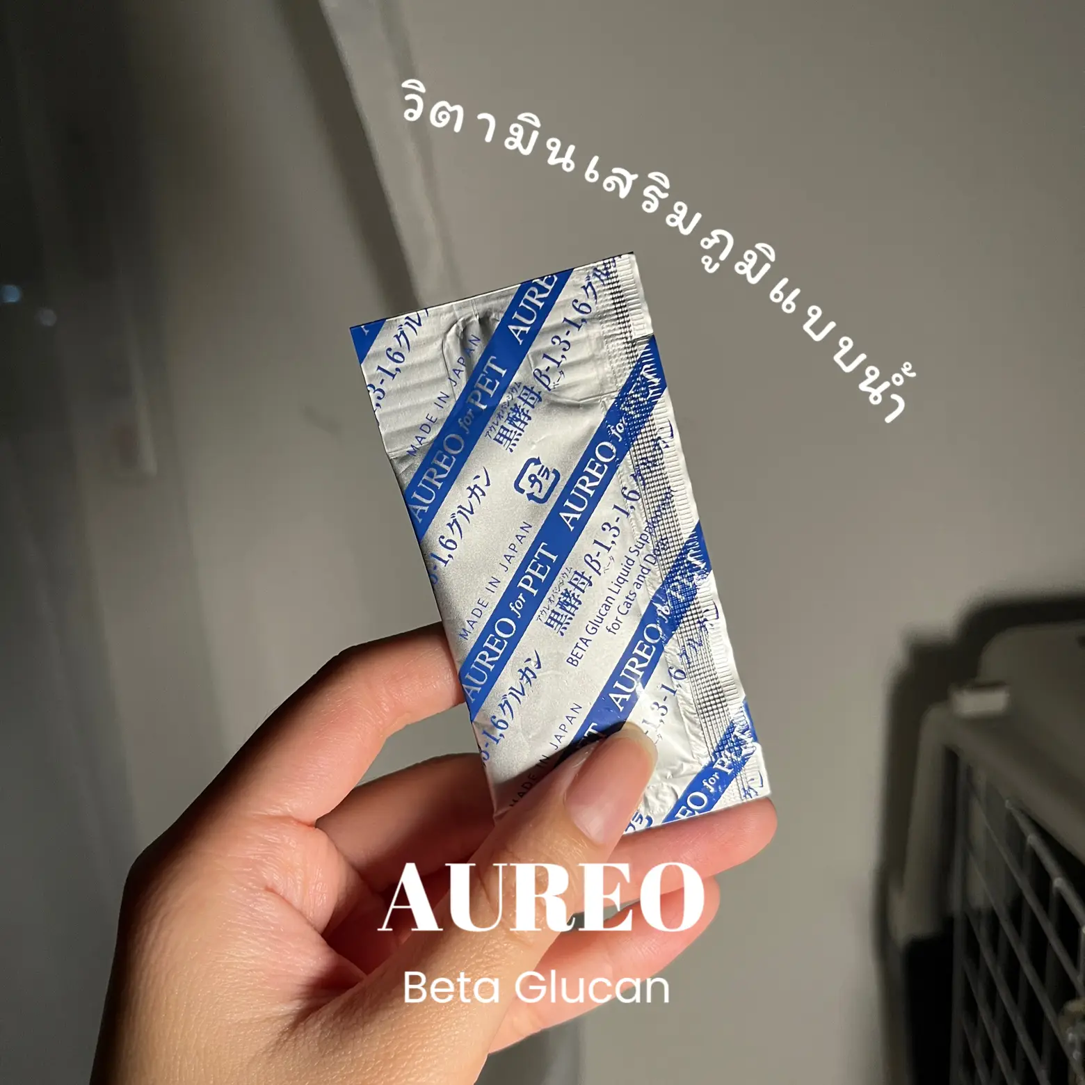 วิตามินเสริมภูมิน้องแมว | แกลเลอรีที่โพสต์โดย beam.tncp | Lemon8