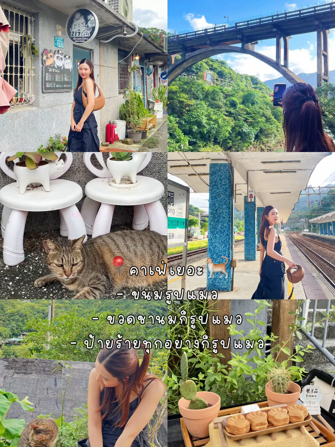 ทาสแมวต้องมา Houtong Cat Village ไต้หวัน🇹🇼 Ep.2 | แกลเลอรีที่โพสต์โดย ...