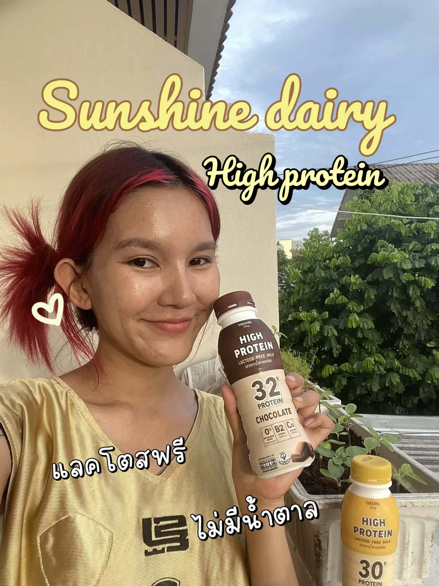 Sunshine dairy 🥛นมแลคโตสฟรีโปรตีนสูงง⬆️ | แกลเลอรีที่โพสต์โดย วันนี้จะมารีวิว | Lemon8