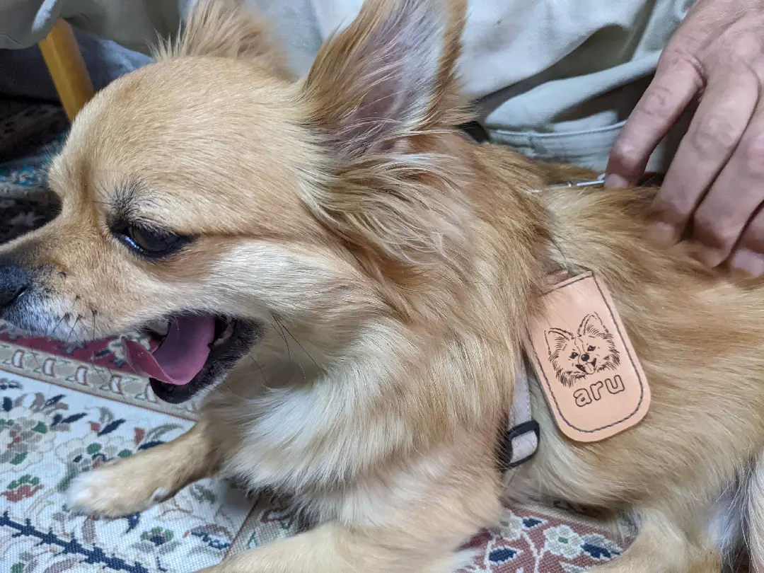 🧡🧸ปัจจุบัน🎁🎉 | แกลเลอรีที่โพสต์โดย aru | Lemon8