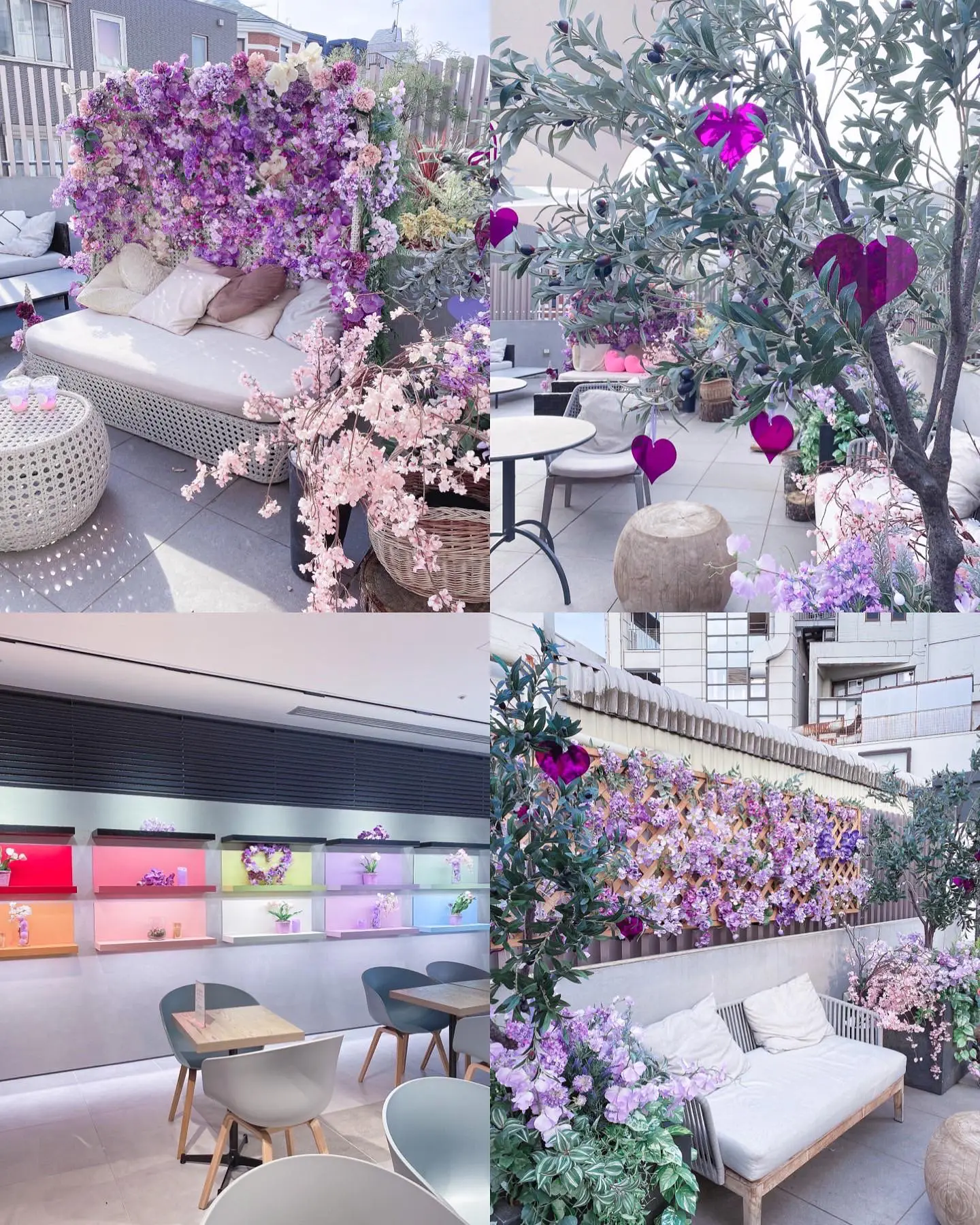 Introducing a cafe with cute terrace seats ☕️💜 flowers in Tokyo☕️🎀💕 ...
