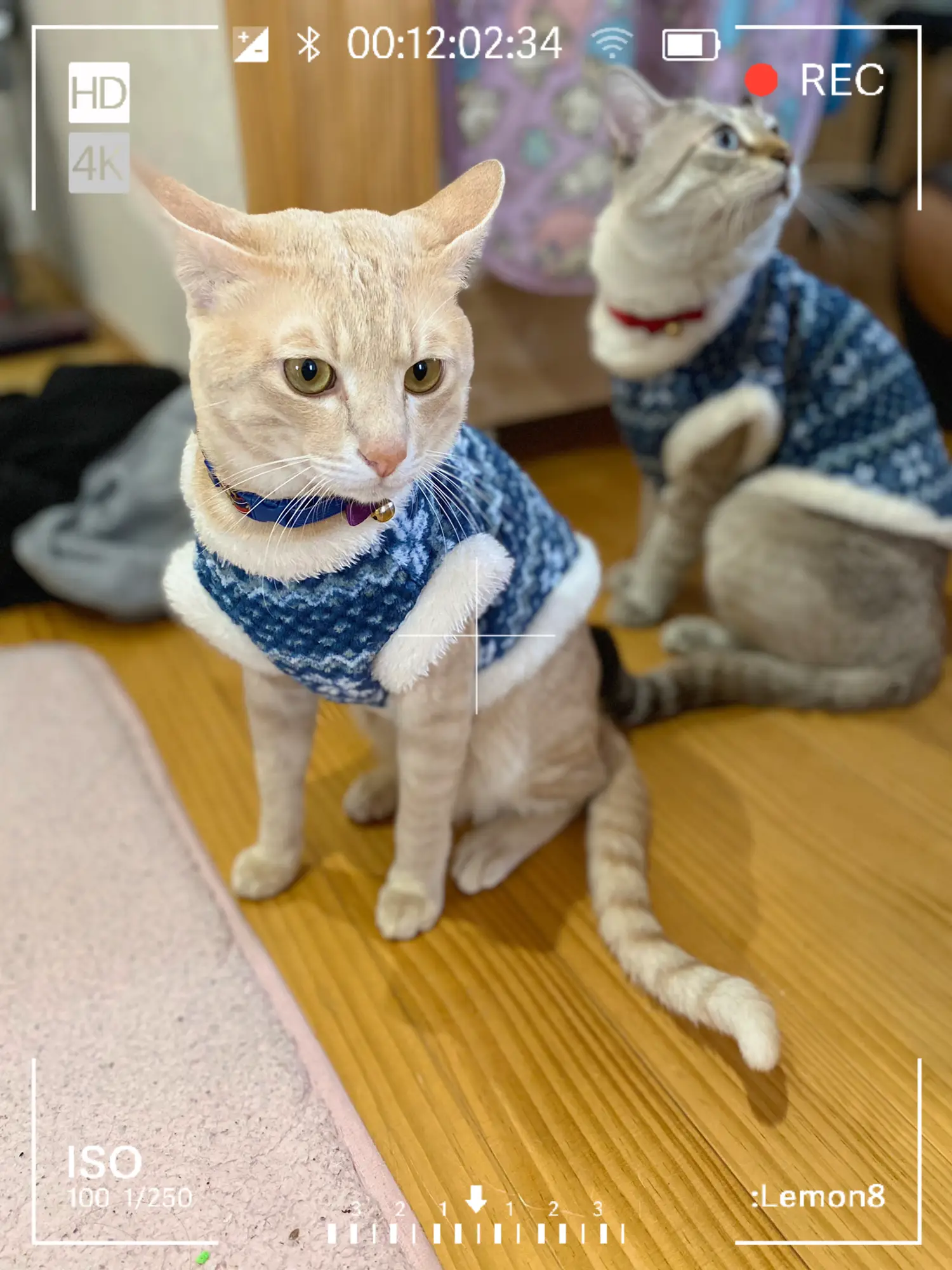 It's gotten really cold😆 | Gallery posted by ゆんちょー | Lemon8