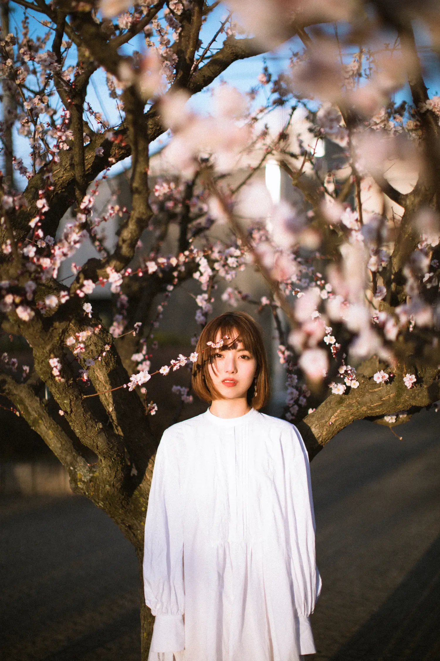 พลัมที่กรมอุทยานฯ | แกลเลอรีที่โพสต์โดย Iceyアイシー | Lemon8